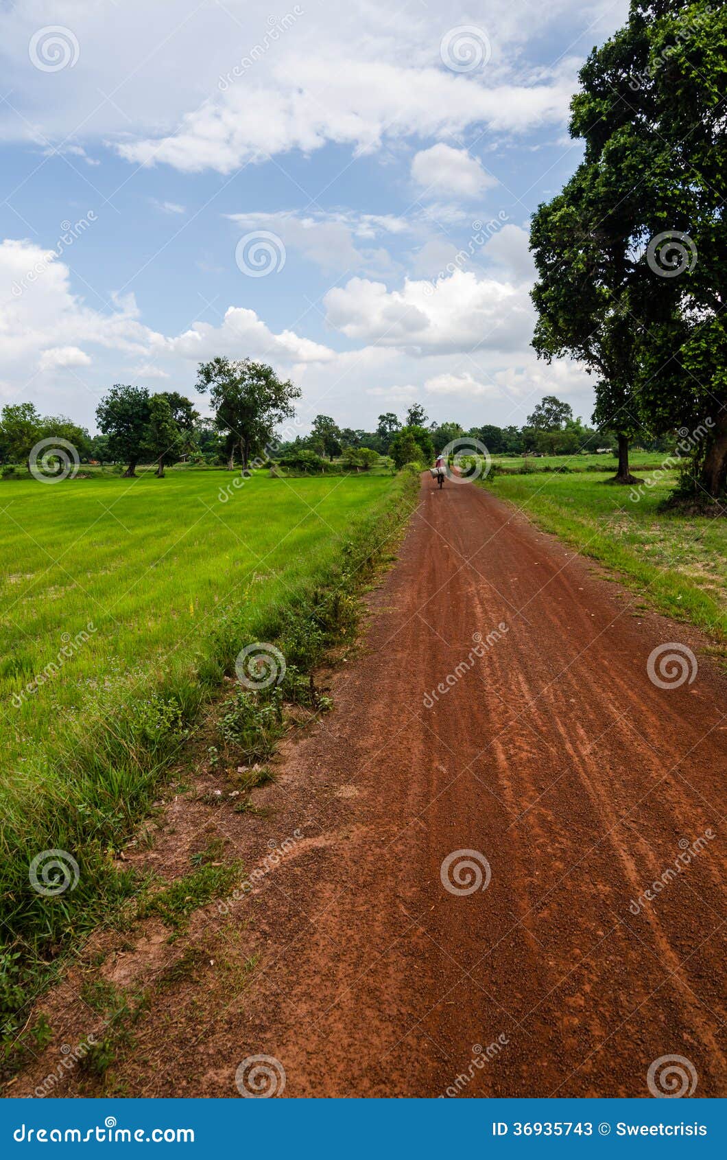Road soil stock image. Image of summer, view, beauty - 36935743