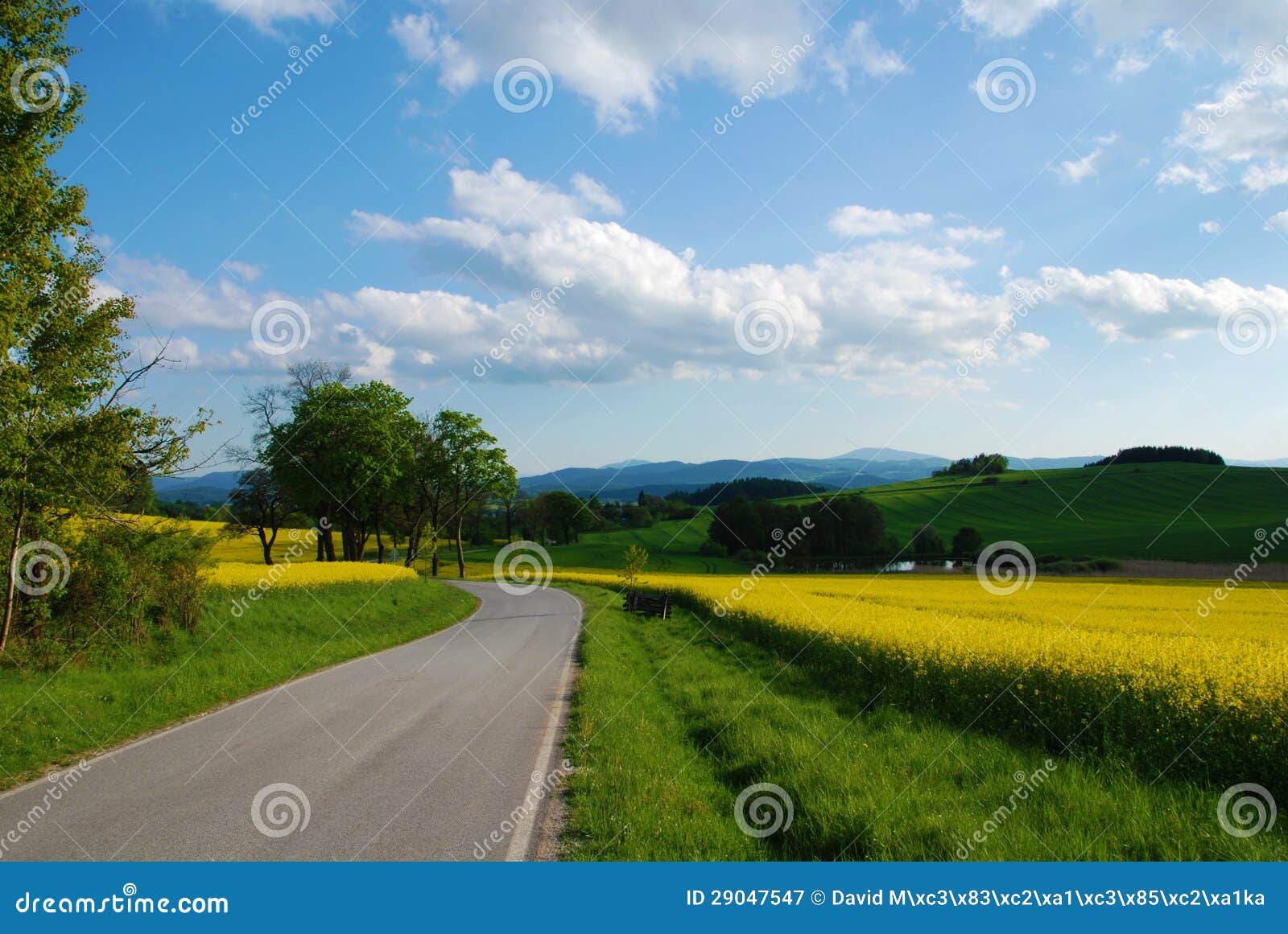 Road in the Spring stock image. Image of blossom, floral - 29047547