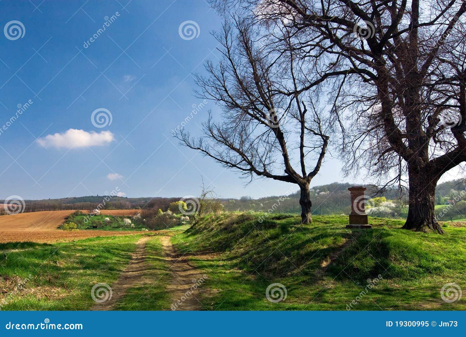 Road through the Spring Countryside Stock Image - Image of country ...