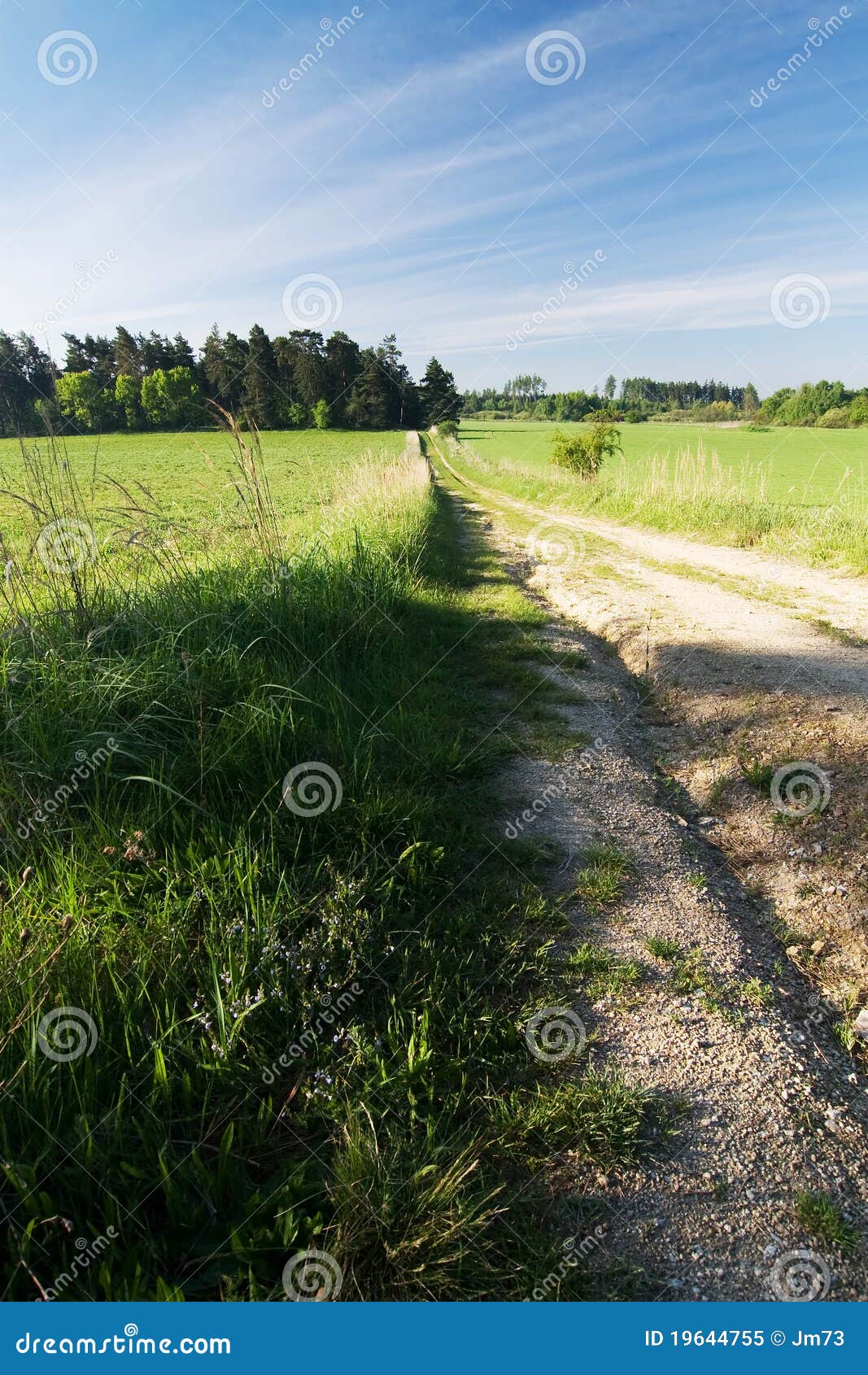Road through the Spring Countryside Stock Image - Image of blue, route ...