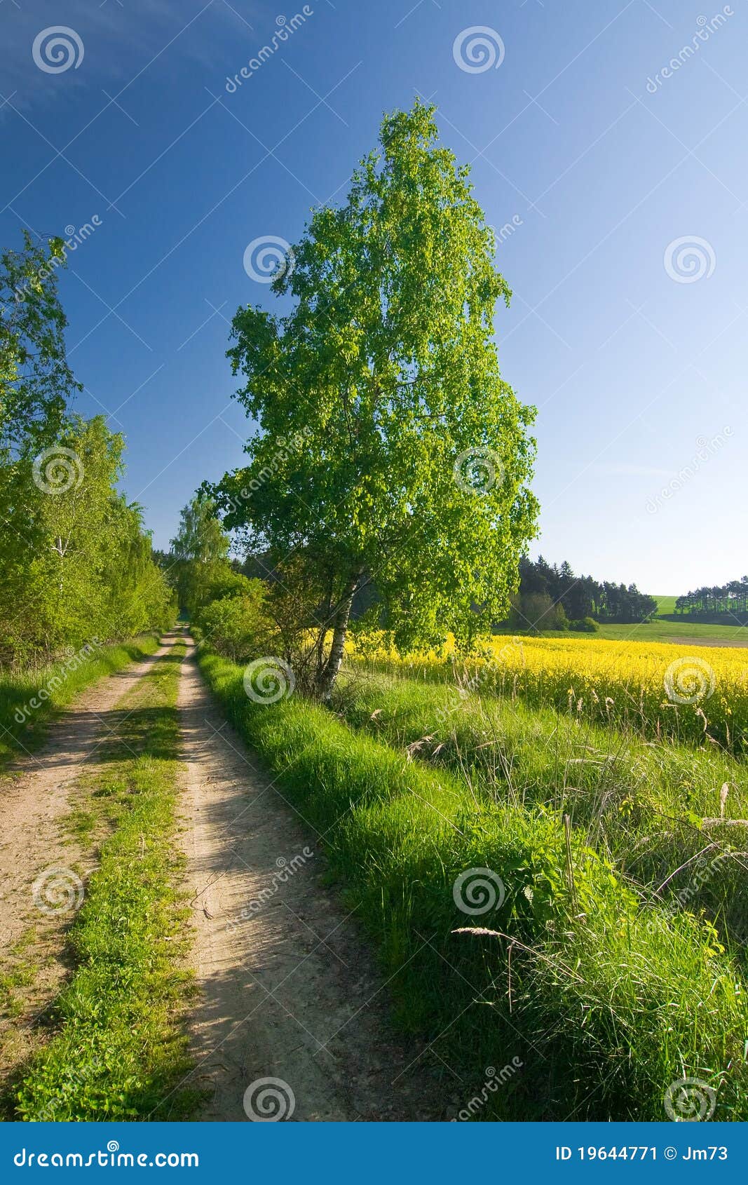 Road through the Spring Countryside Stock Image - Image of spring ...