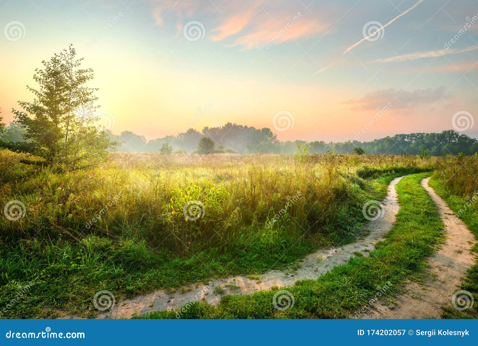 Road and spring field stock image. Image of sunrise - 174202057