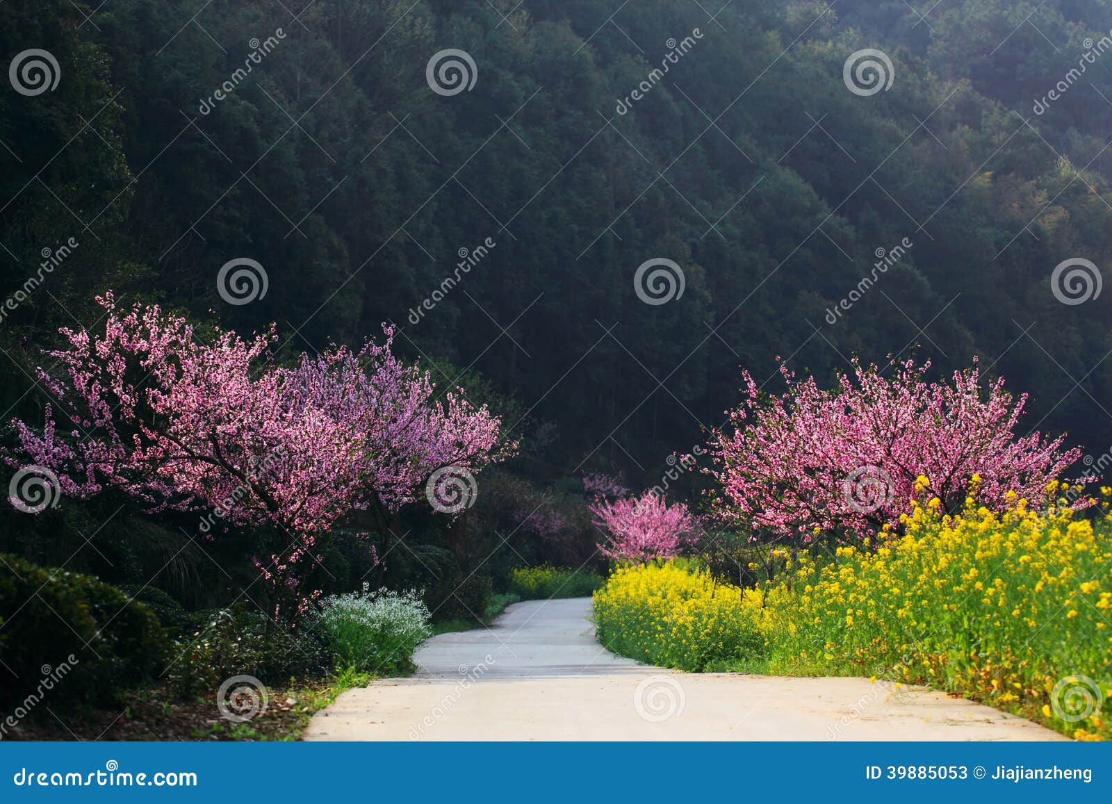 Road stock image. Image of beauteous, water, cole, full - 39885053