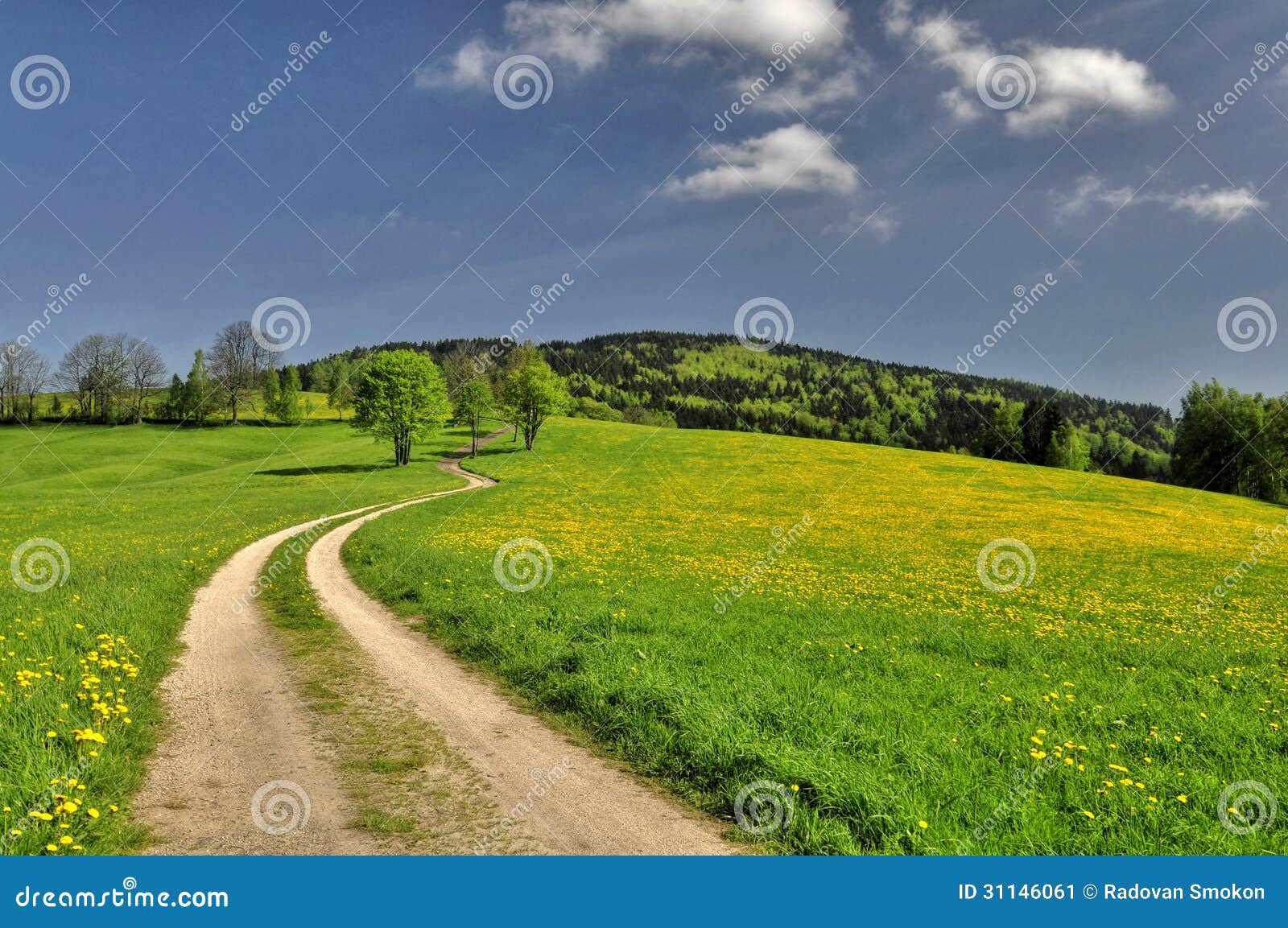 Road and spring landscape stock image. Image of horizon - 31146061