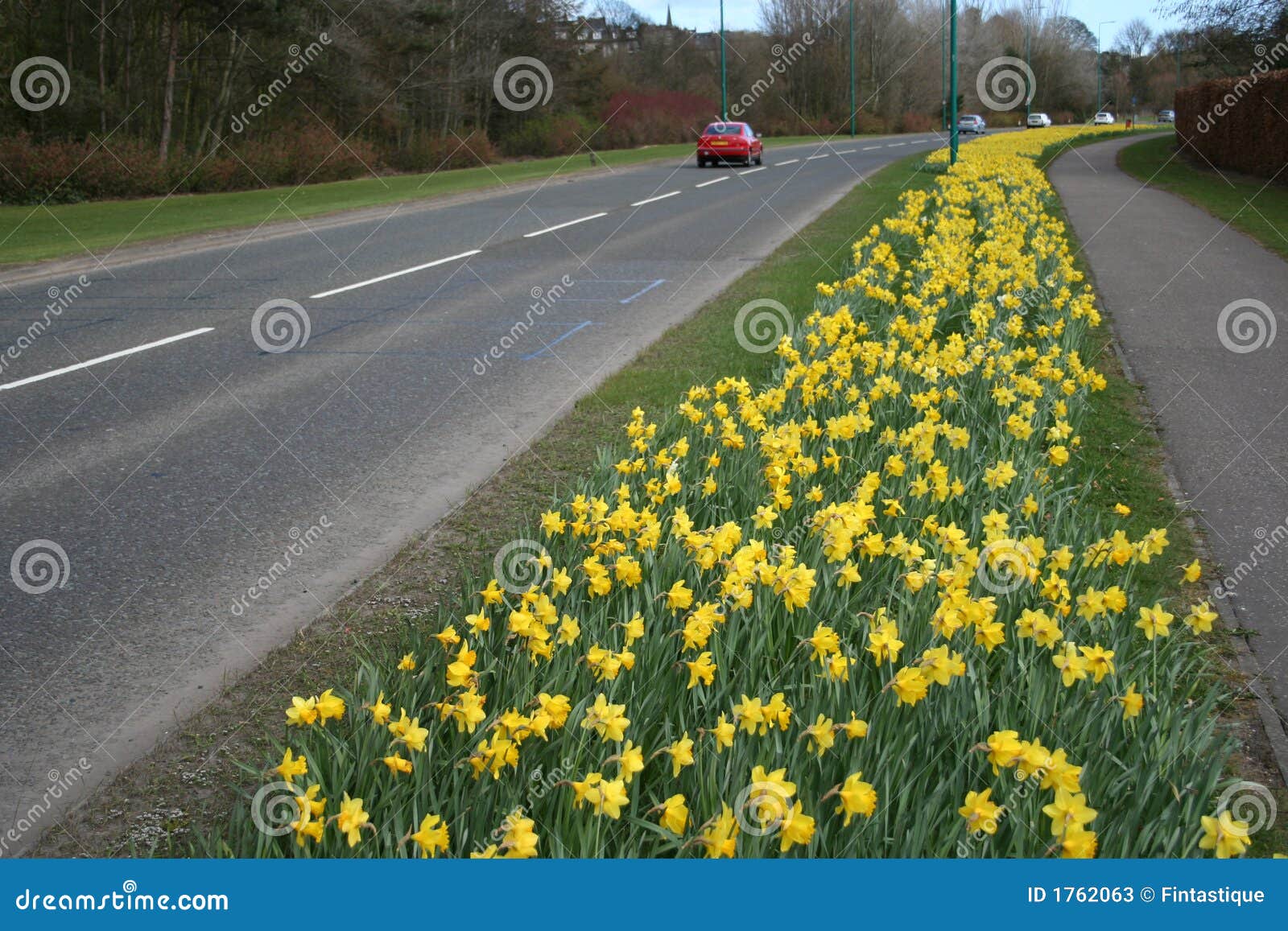 Road in Springtime stock image. Image of daffodils, springtime - 1762063