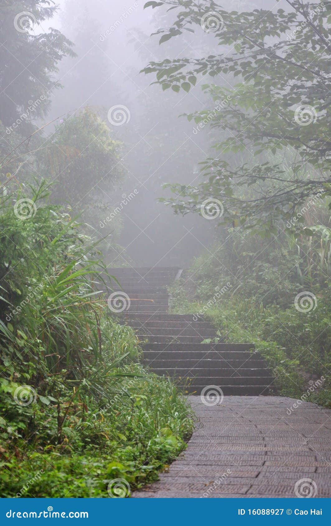 Road and steps in fog stock image. Image of fresh, concept - 16088927