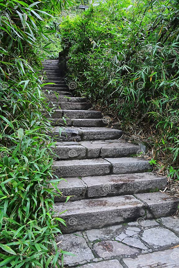 Road steps stock image. Image of path, steps, secret - 39123393