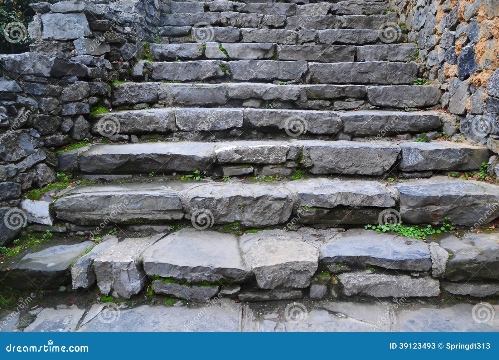 Road steps stock image. Image of forest, leading, forward - 39123493