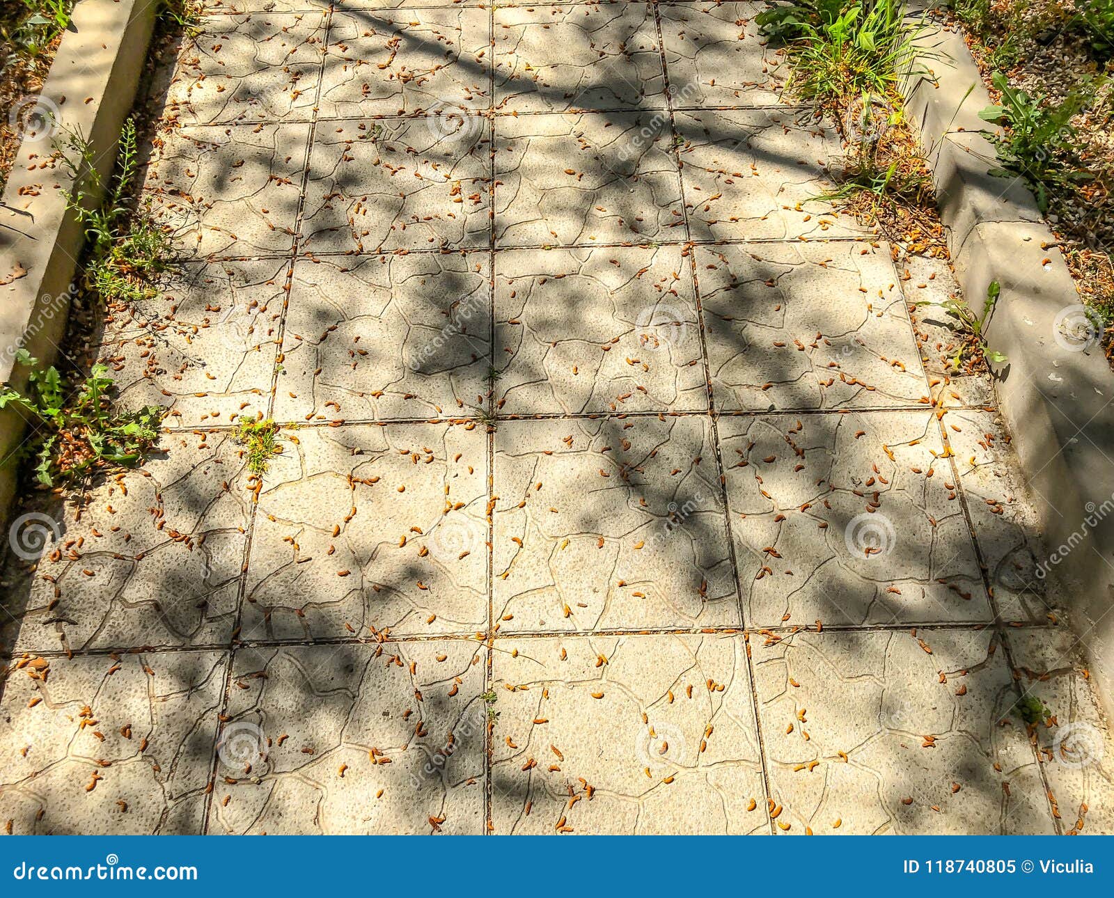 The Road is a Stone Path Goes into the Courtyard of a Residential ...