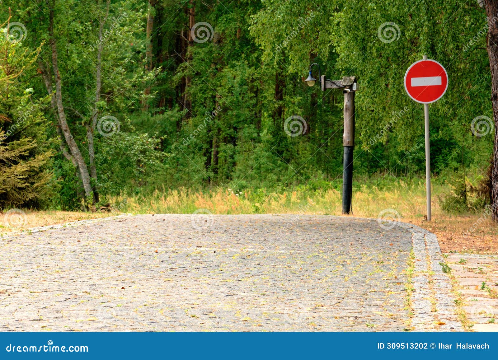 A Road with a Stop Sign in Front of the Forest Stock Photo - Image of ...