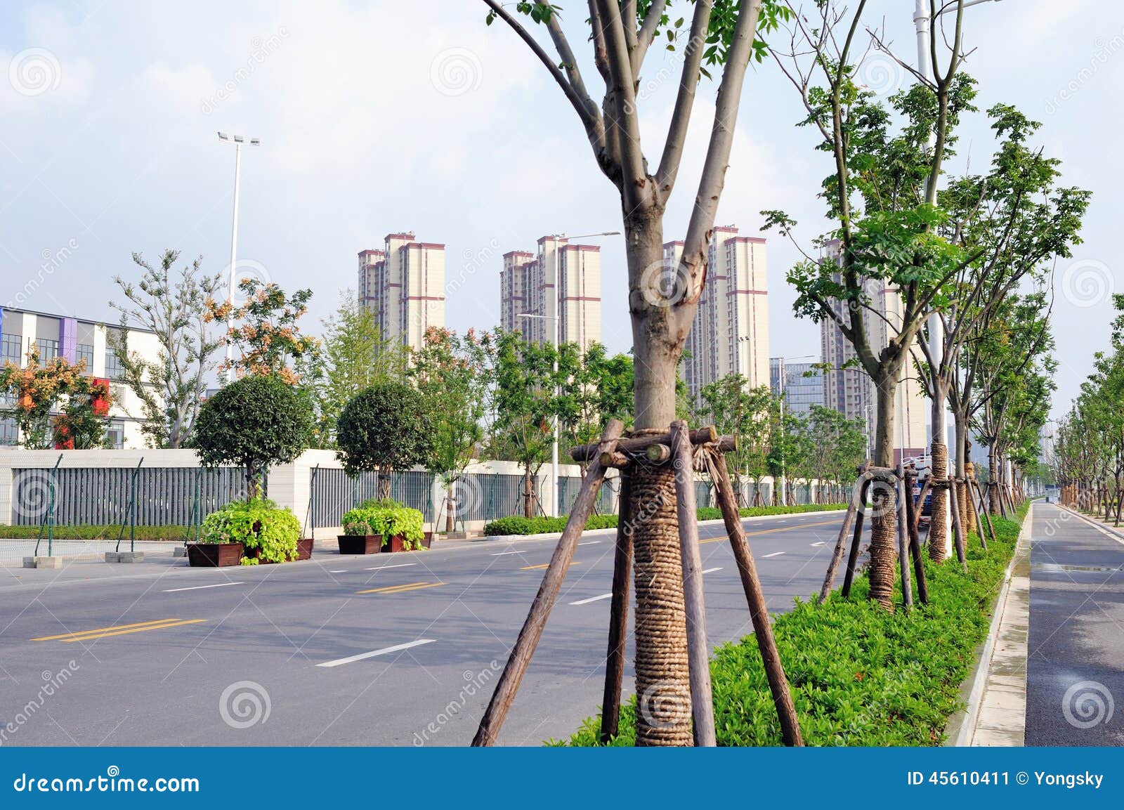 Road and Street trees stock image. Image of clouds, tall - 45610411
