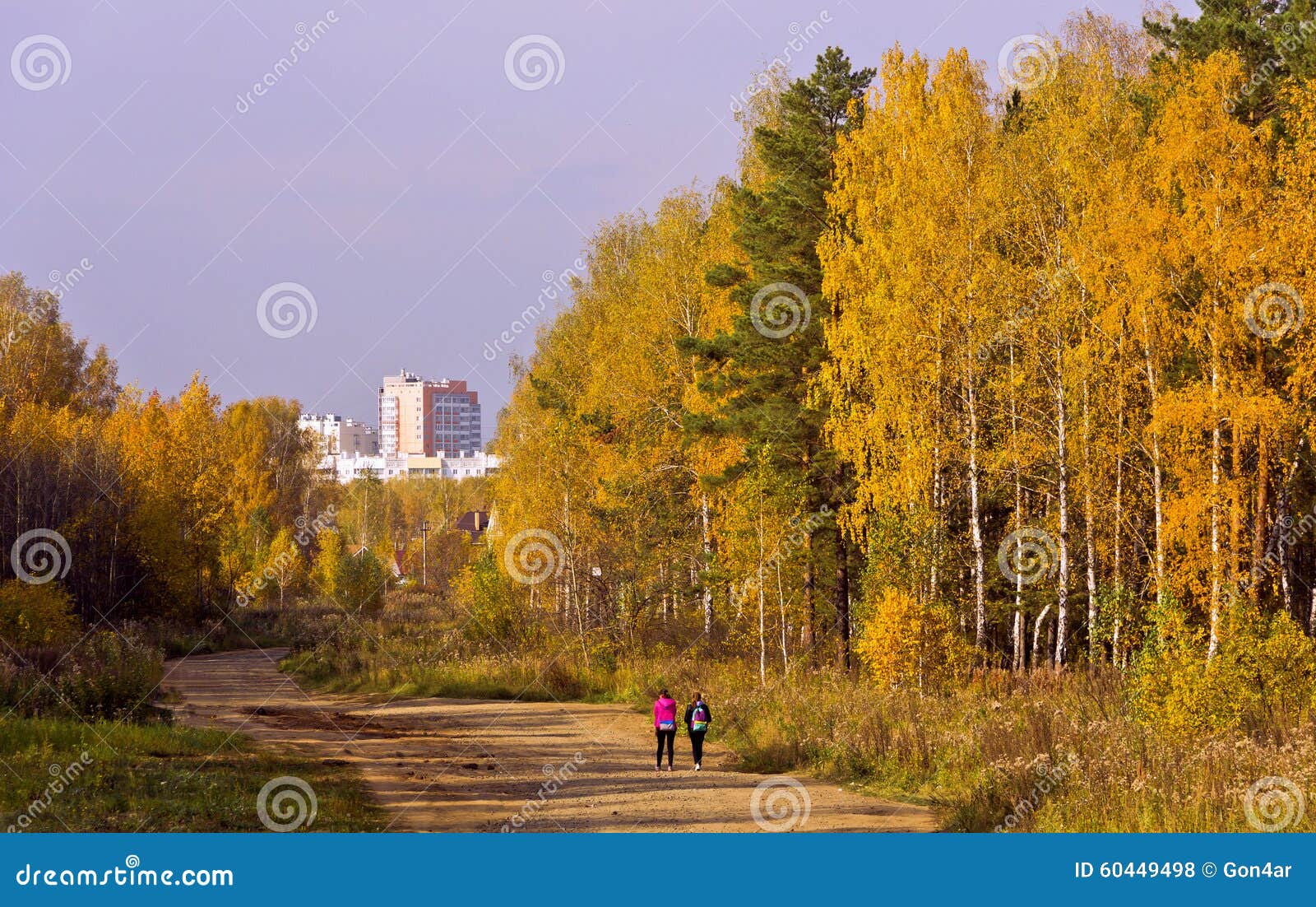 Road in a Suburban Forest.Golden Autumn Stock Photo - Image of orange ...