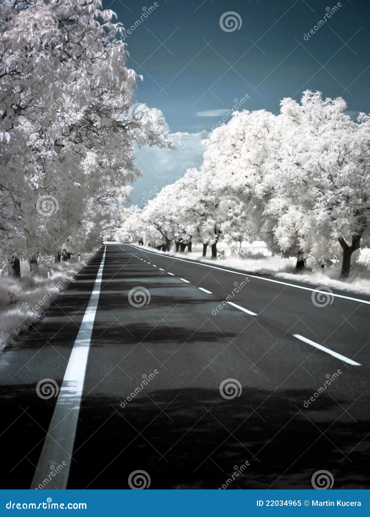Road in Summer Photographed in Infrared Stock Image - Image of infra ...