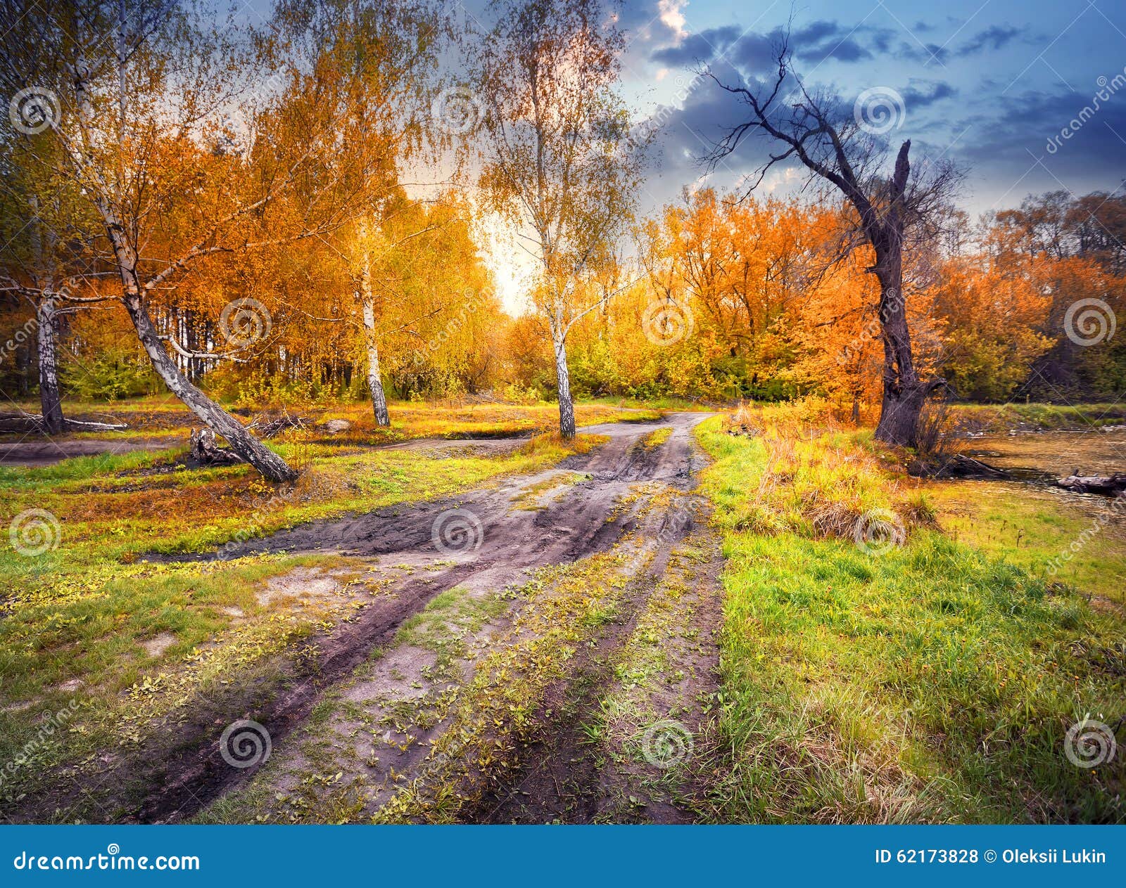 Road from summer to autumn stock photo. Image of landscape - 62173828