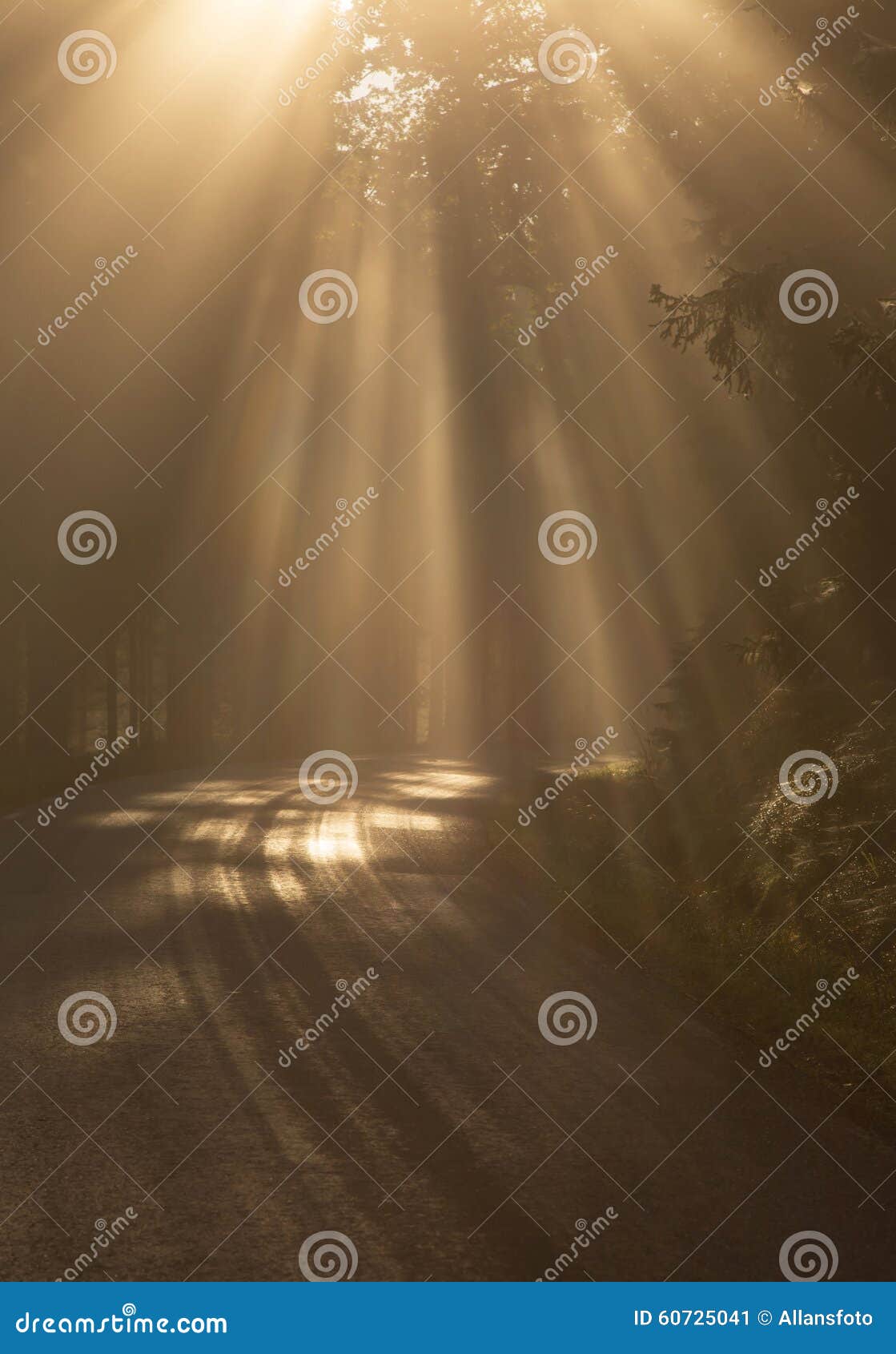 Road with sun rays stock image. Image of morning, atmosphere - 60725041