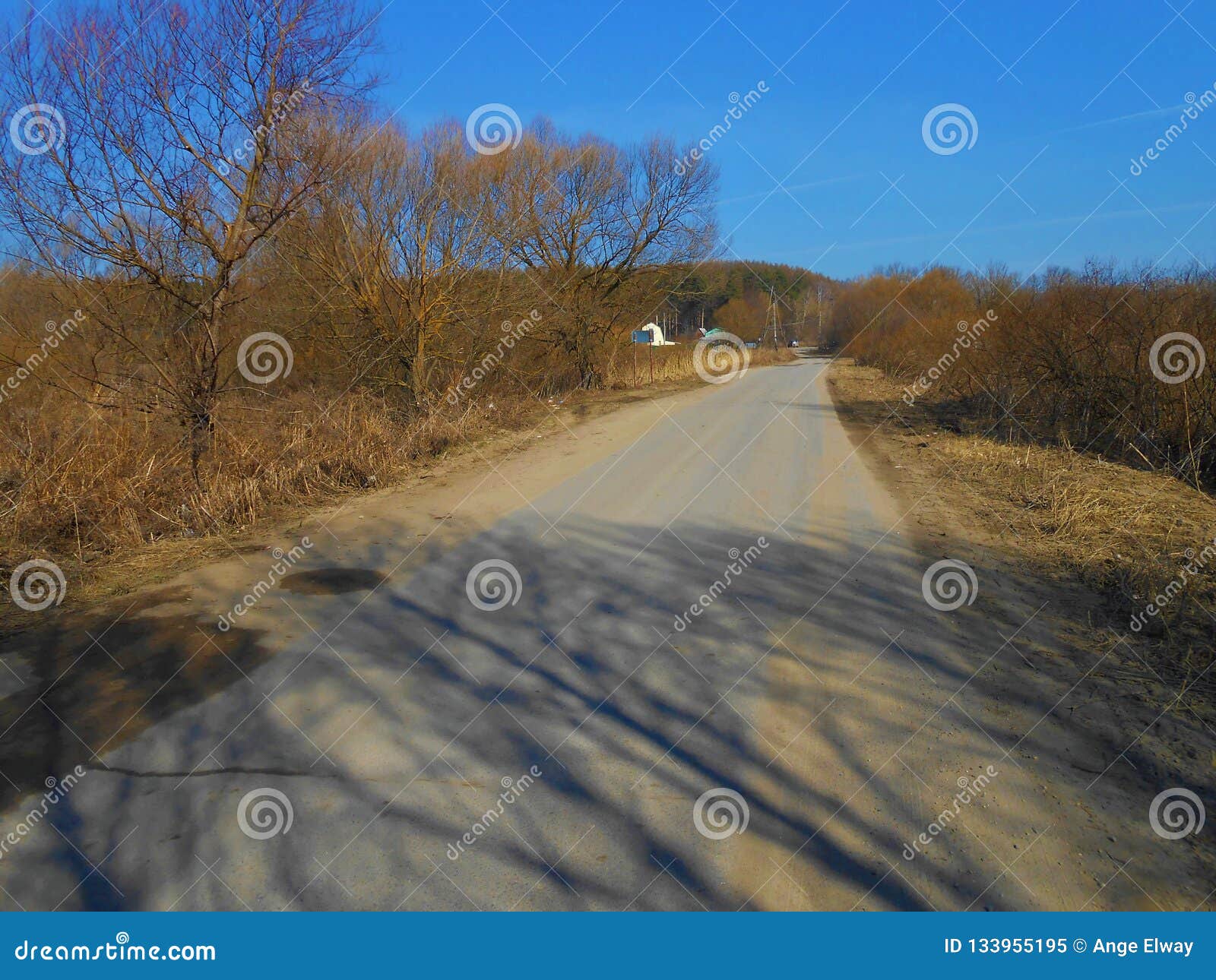 On the Road in Sunny Spring Day. Stock Image - Image of color ...