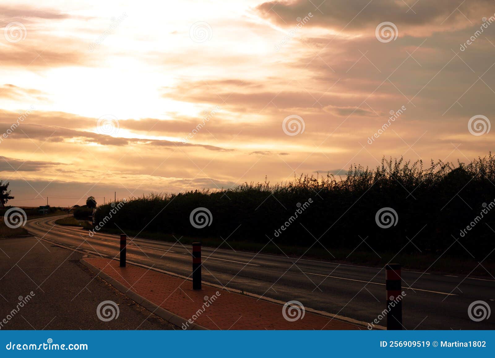 Road into the sunset stock image. Image of forest, sunset - 256909519