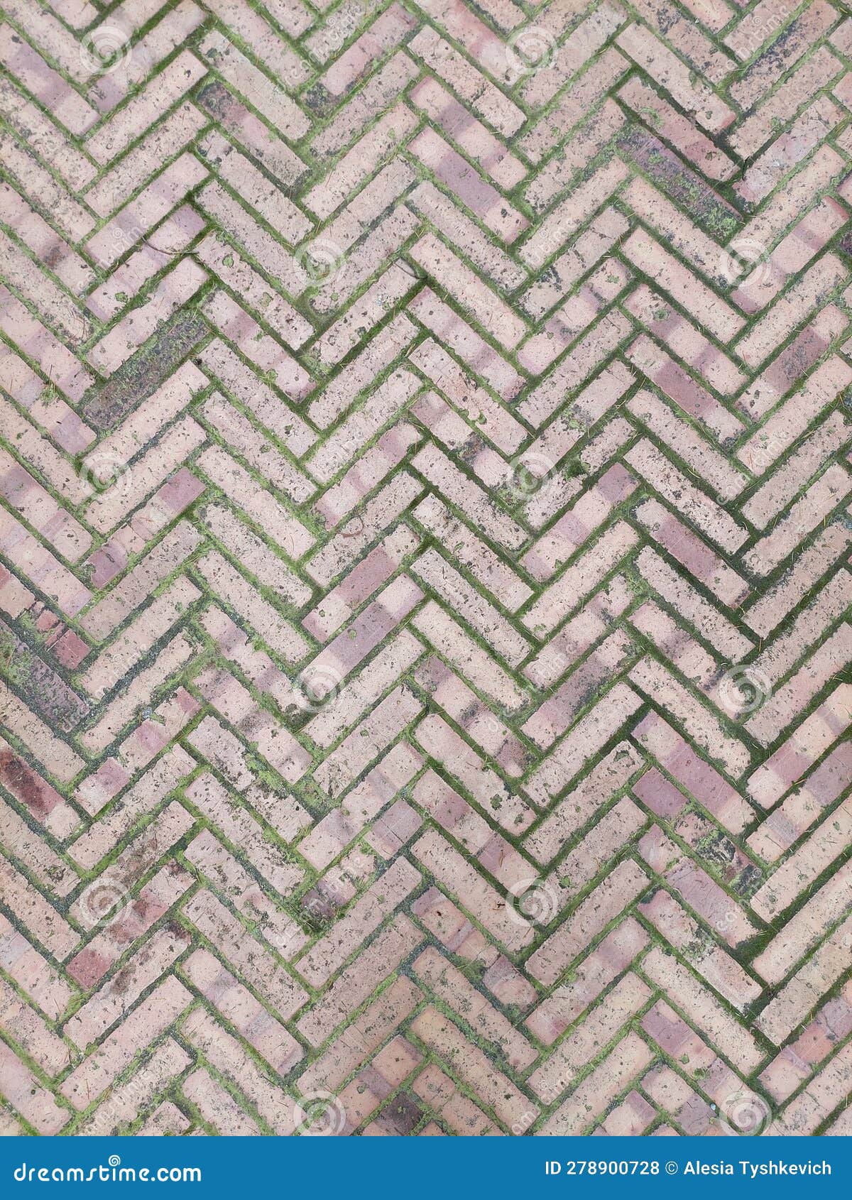 Brick ?eramic pavement. stock photo. Image of textile - 278900728