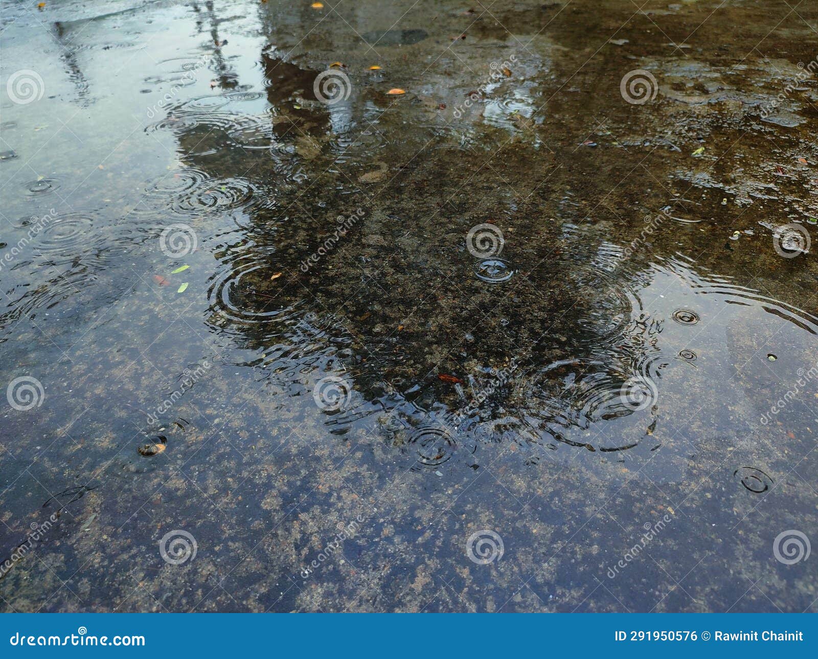 The Road Surface when the Rain is about To Stop Stock Photo - Image of ...