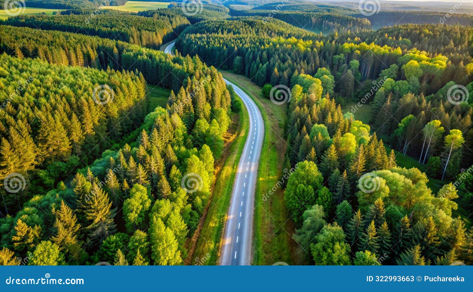 Road Surrounded by Forest Countryside Rural Drone View AI-Generated ...