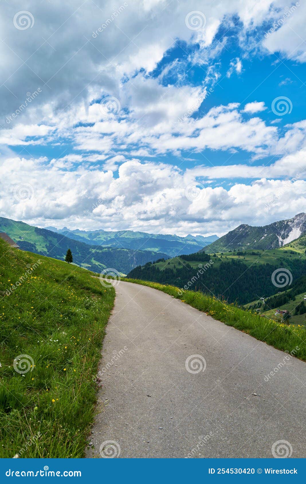 Road Surrounded by Greenery Mountains with Growing Trees Stock Photo ...