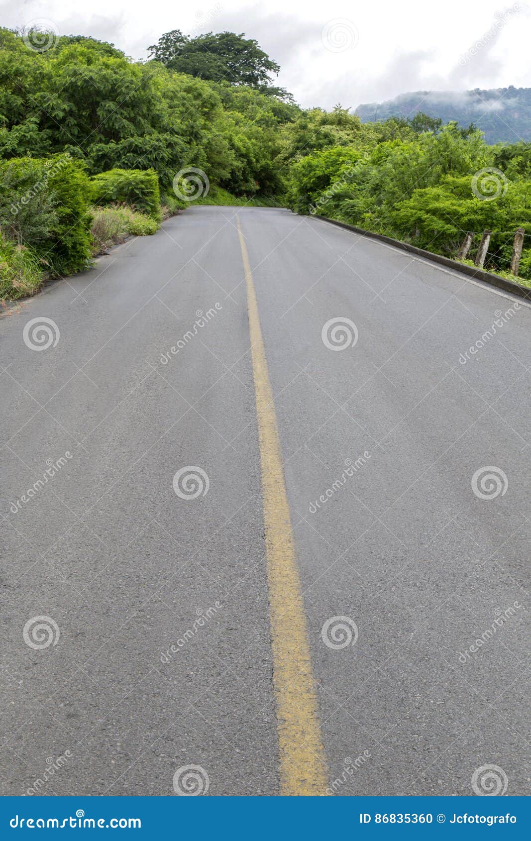 Road surrounded stock photo. Image of dusky, freedom - 86835360