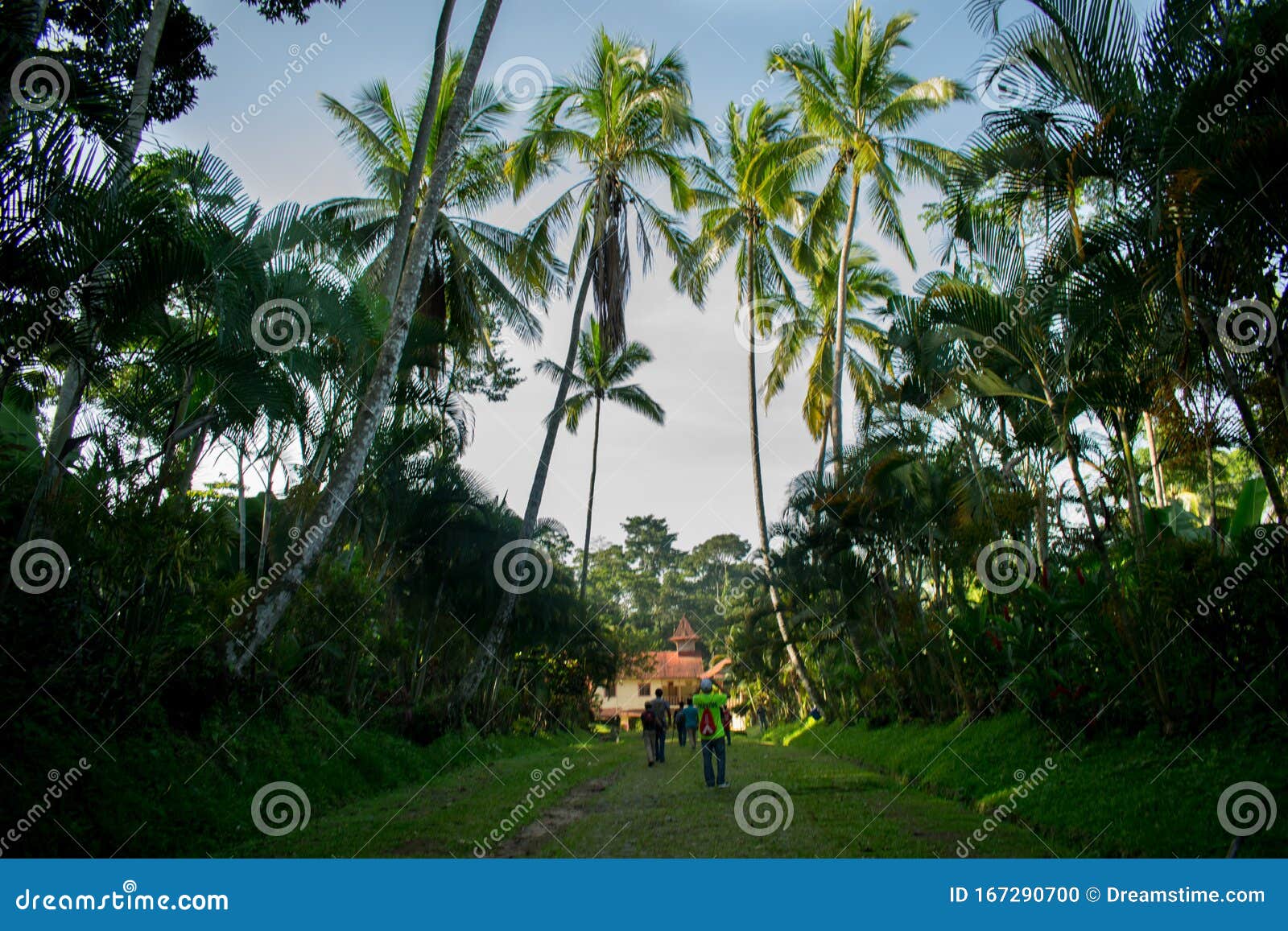 Herons Swimming Pool Complex Editorial Photo | CartoonDealer.com #49311175