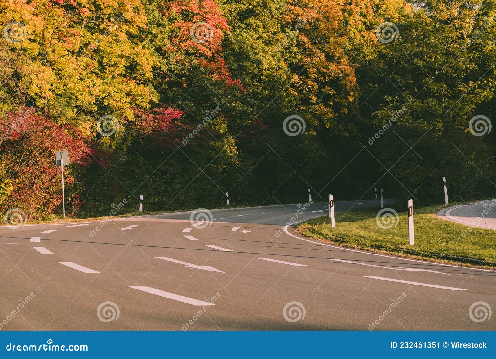 A road surrounded by trees stock image. Image of spring - 232461351