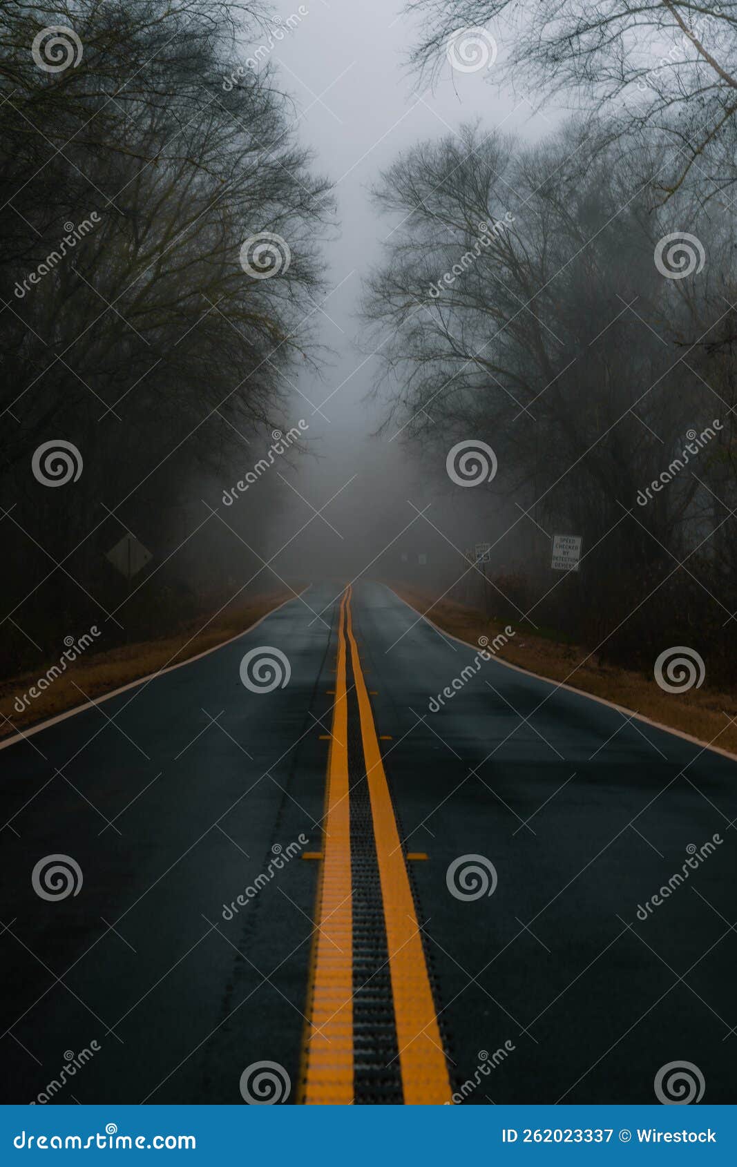 Road Surrounded by Trees and Road Signs in the Fog Stock Image - Image ...