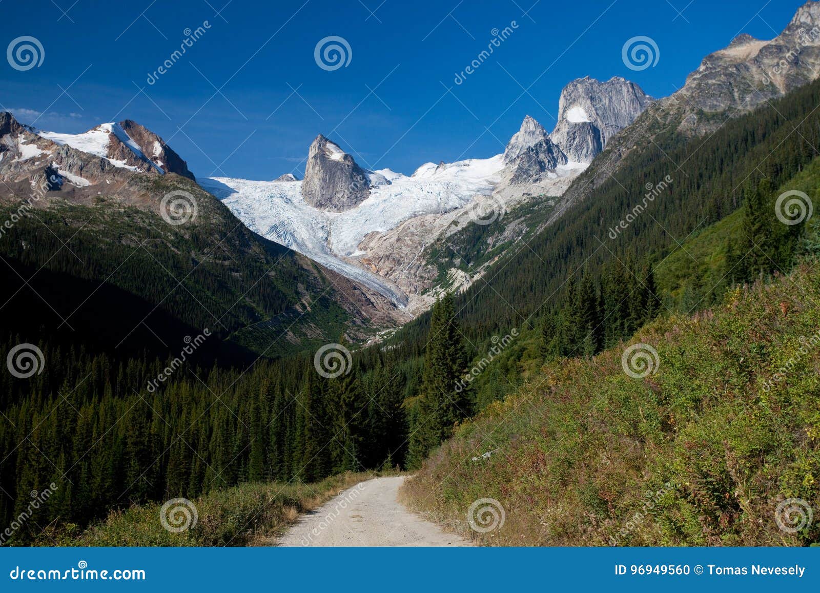 The road to the Bugaboos stock photo. Image of scenic - 96949560