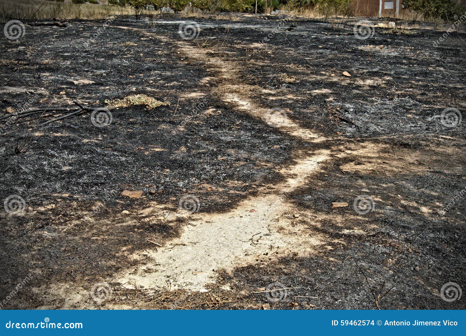 Road to burn stock photo. Image of burn, wood, nature - 59462574