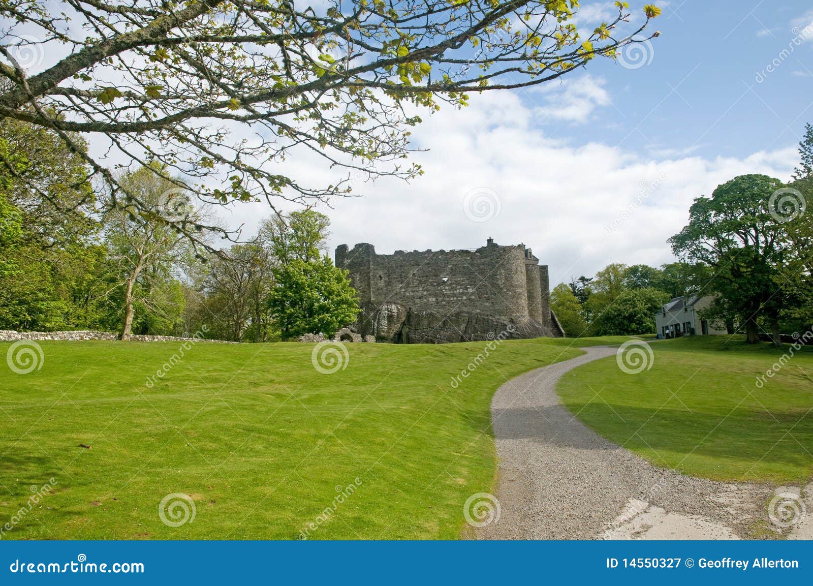 Road to the castle stock image. Image of trees, building - 14550327