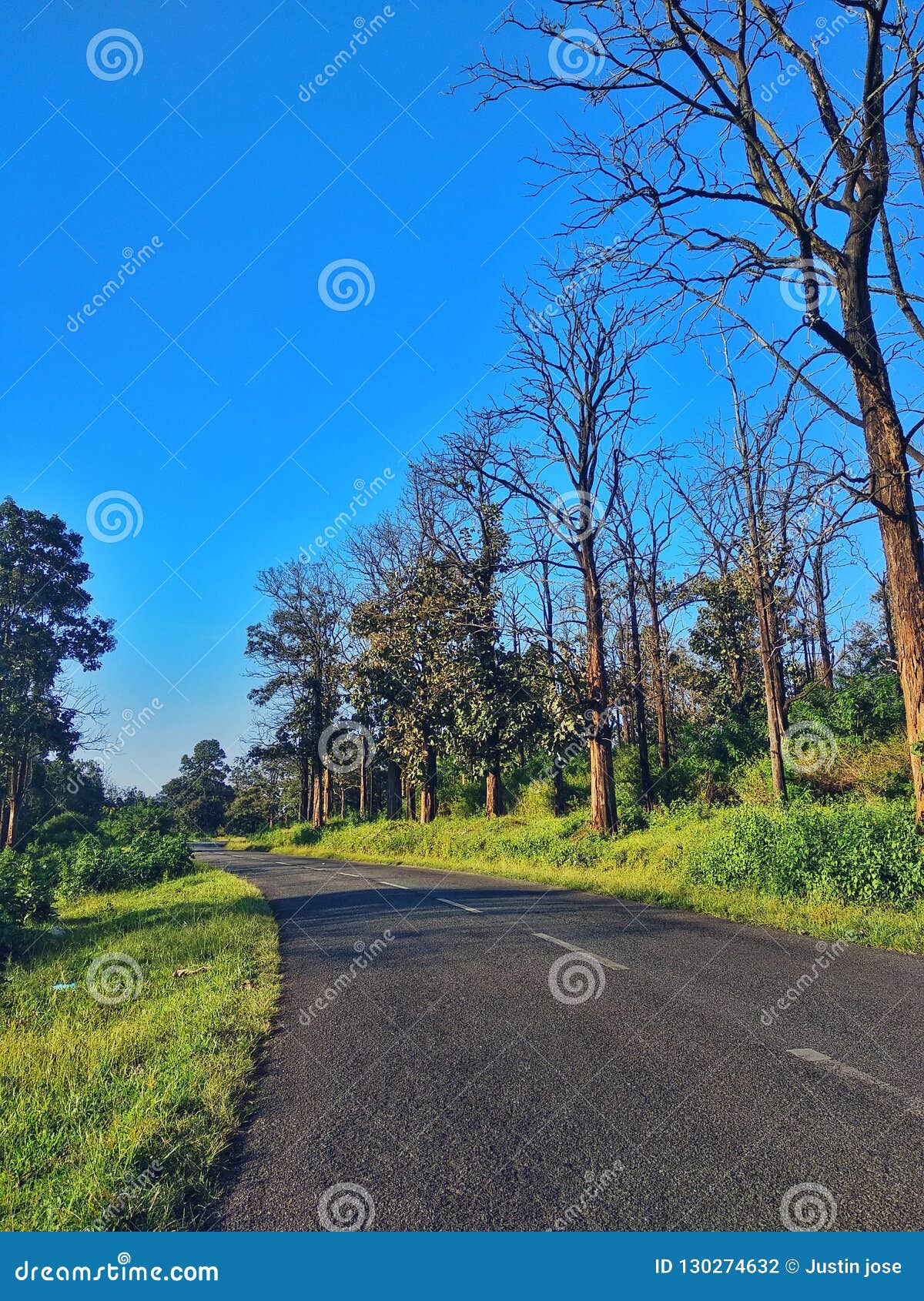 Road to coorg stock photo. Image of woods, forest, kerala - 130274632