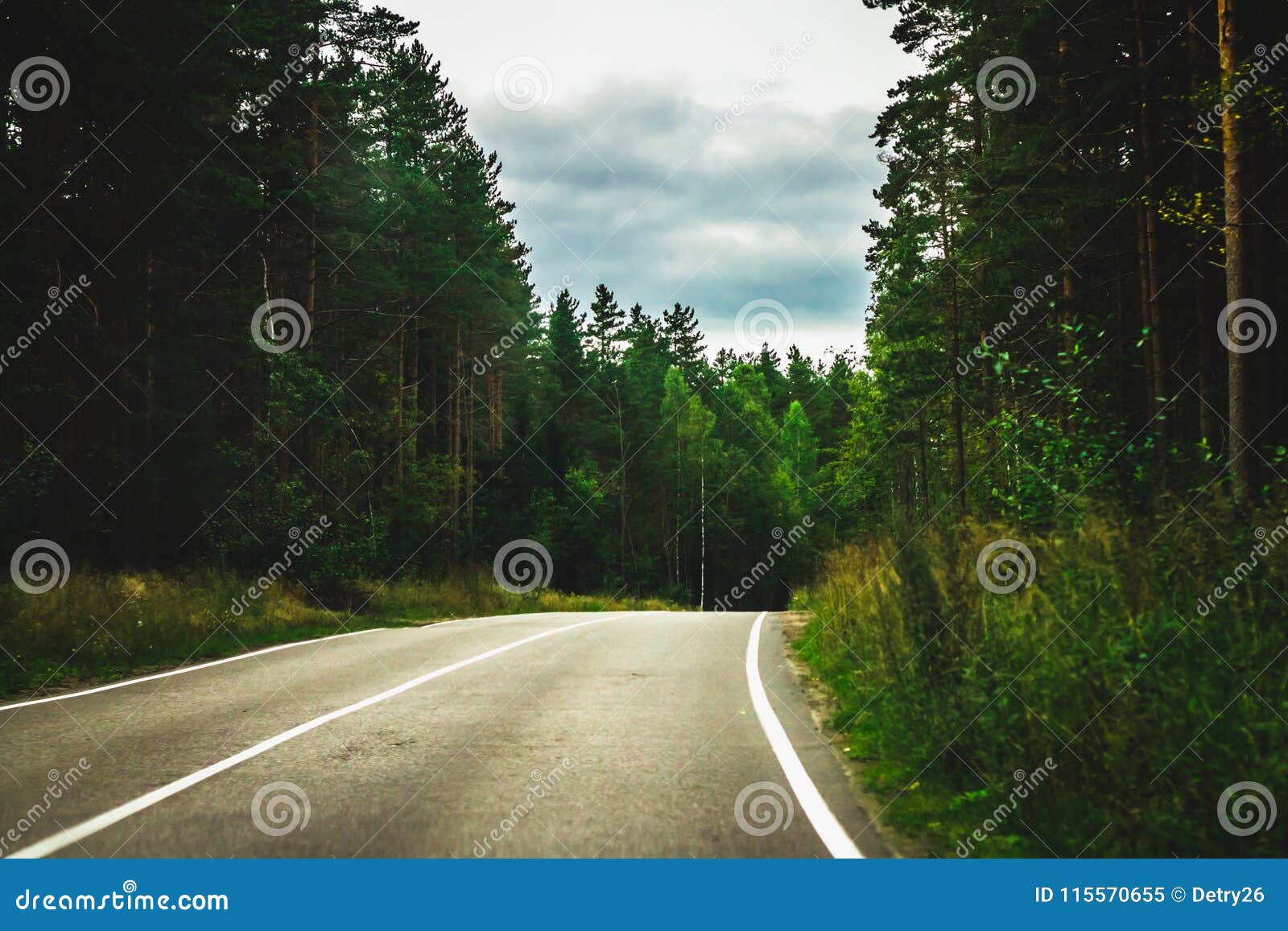 Road To the Distance among the Forest. Stock Image - Image of lane ...