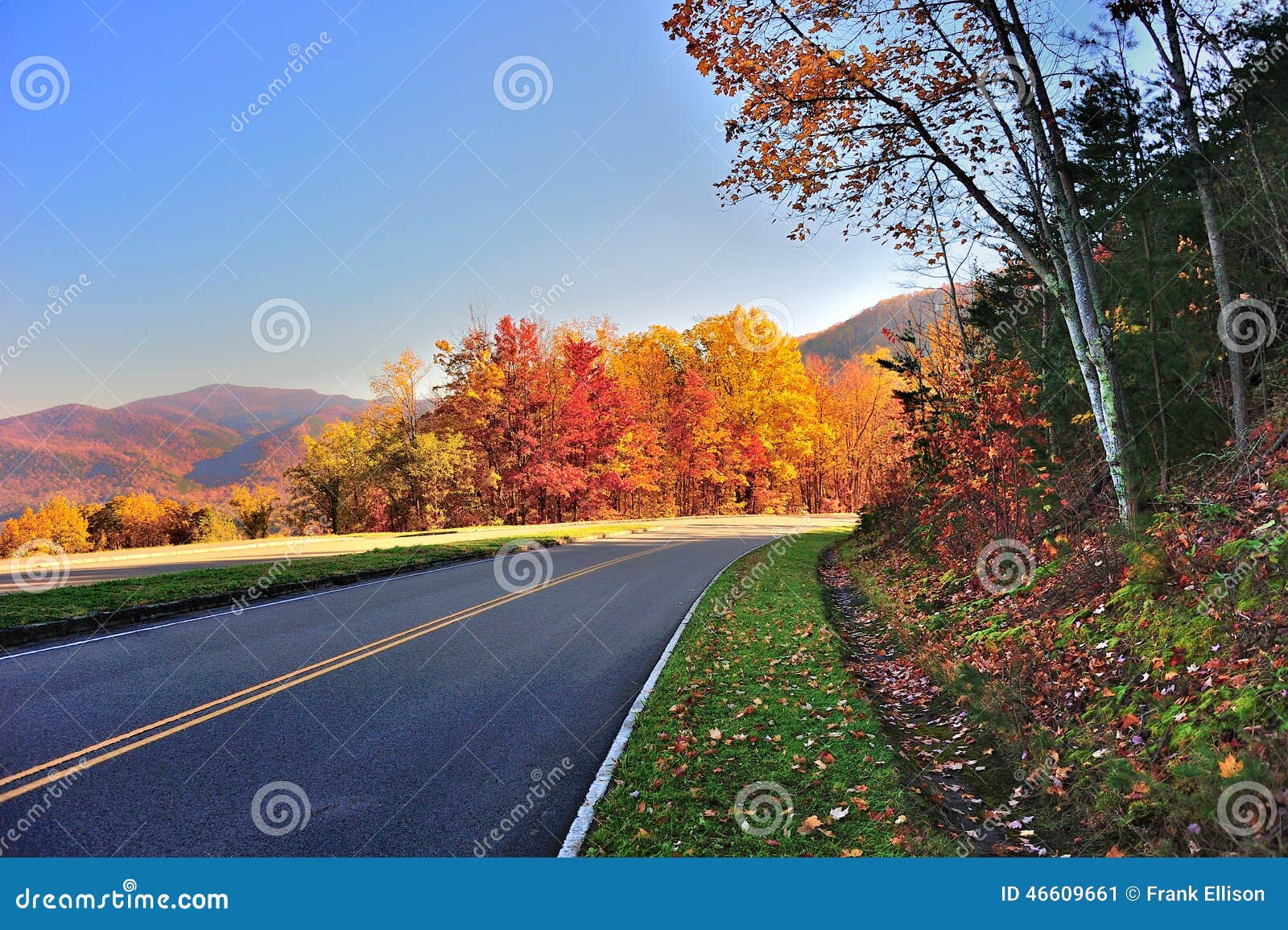 Road to Fall stock image. Image of bright, autumn, fall - 46609661