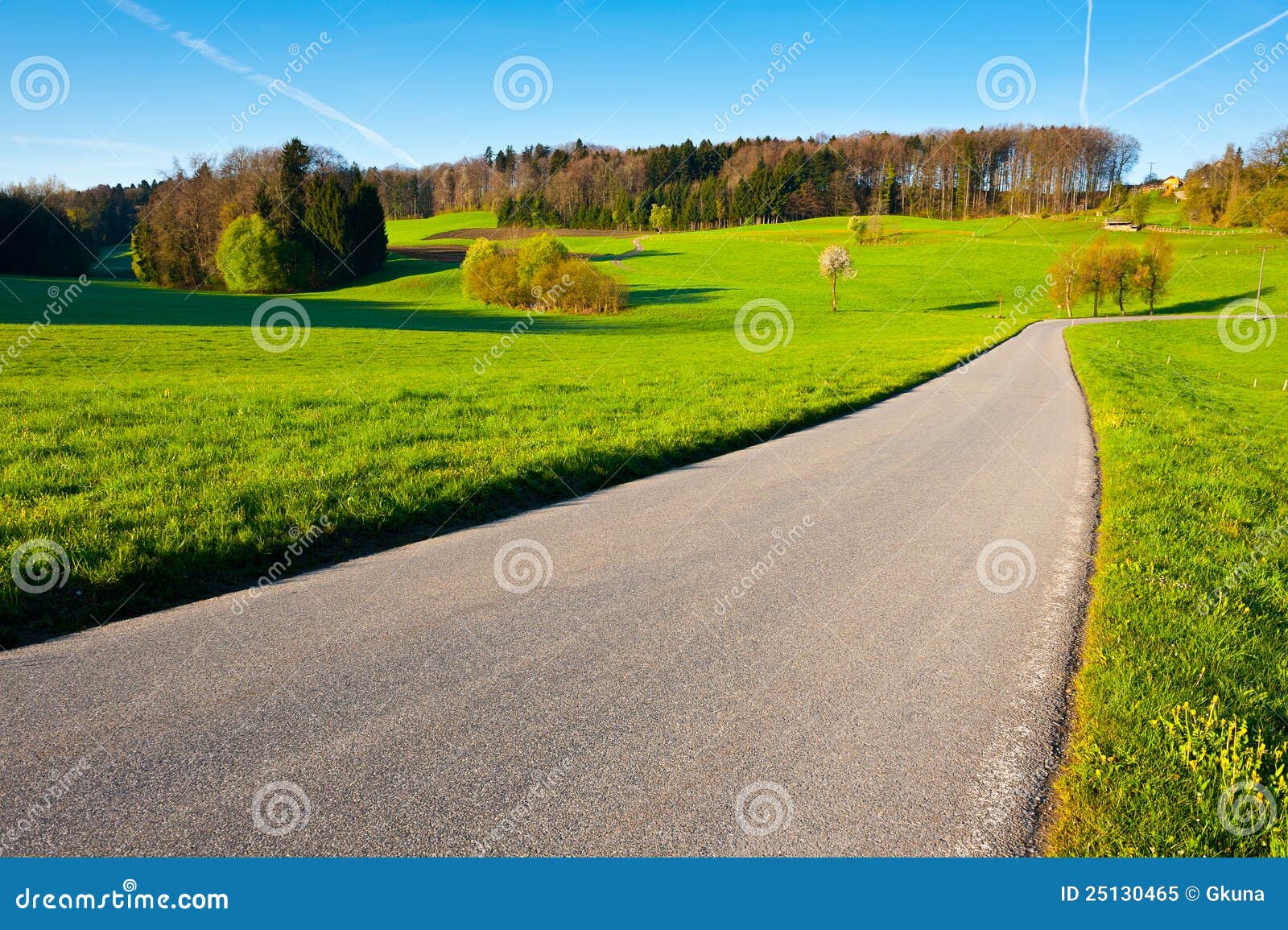 Road to the Farmhouse stock image. Image of europe, nature - 25130465