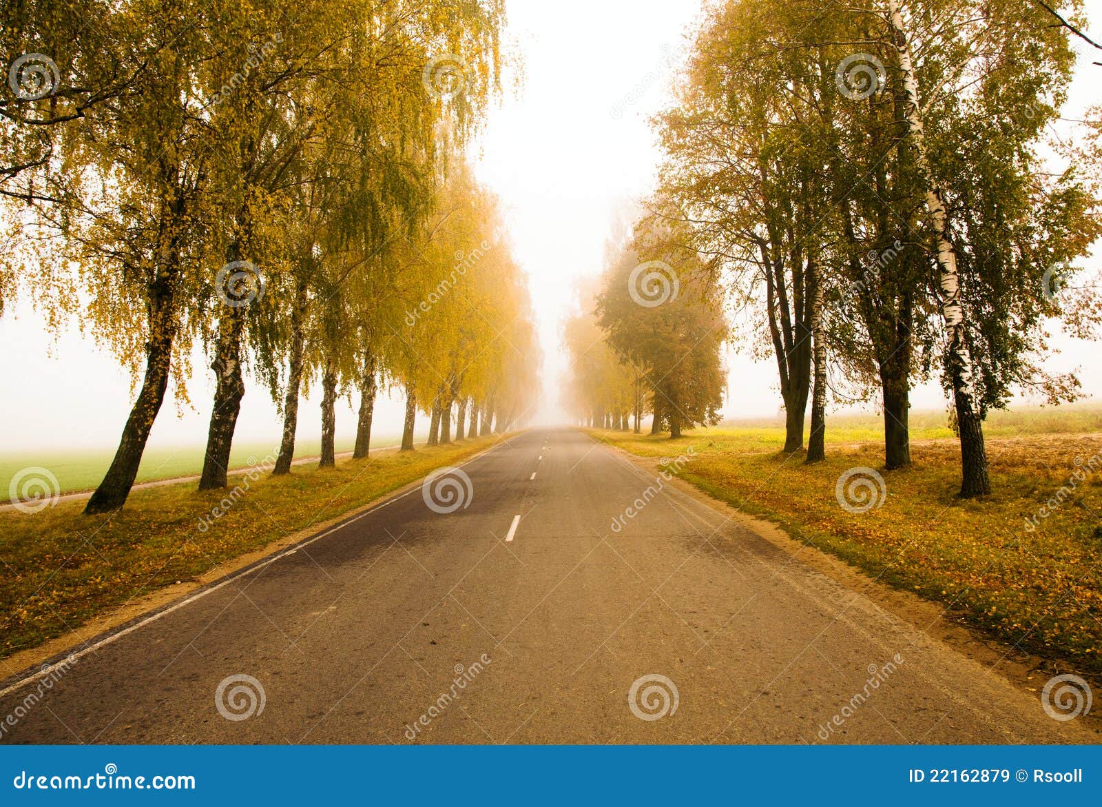 Growing Lengthways Photos - Free & Royalty-Free Stock Photos from ...