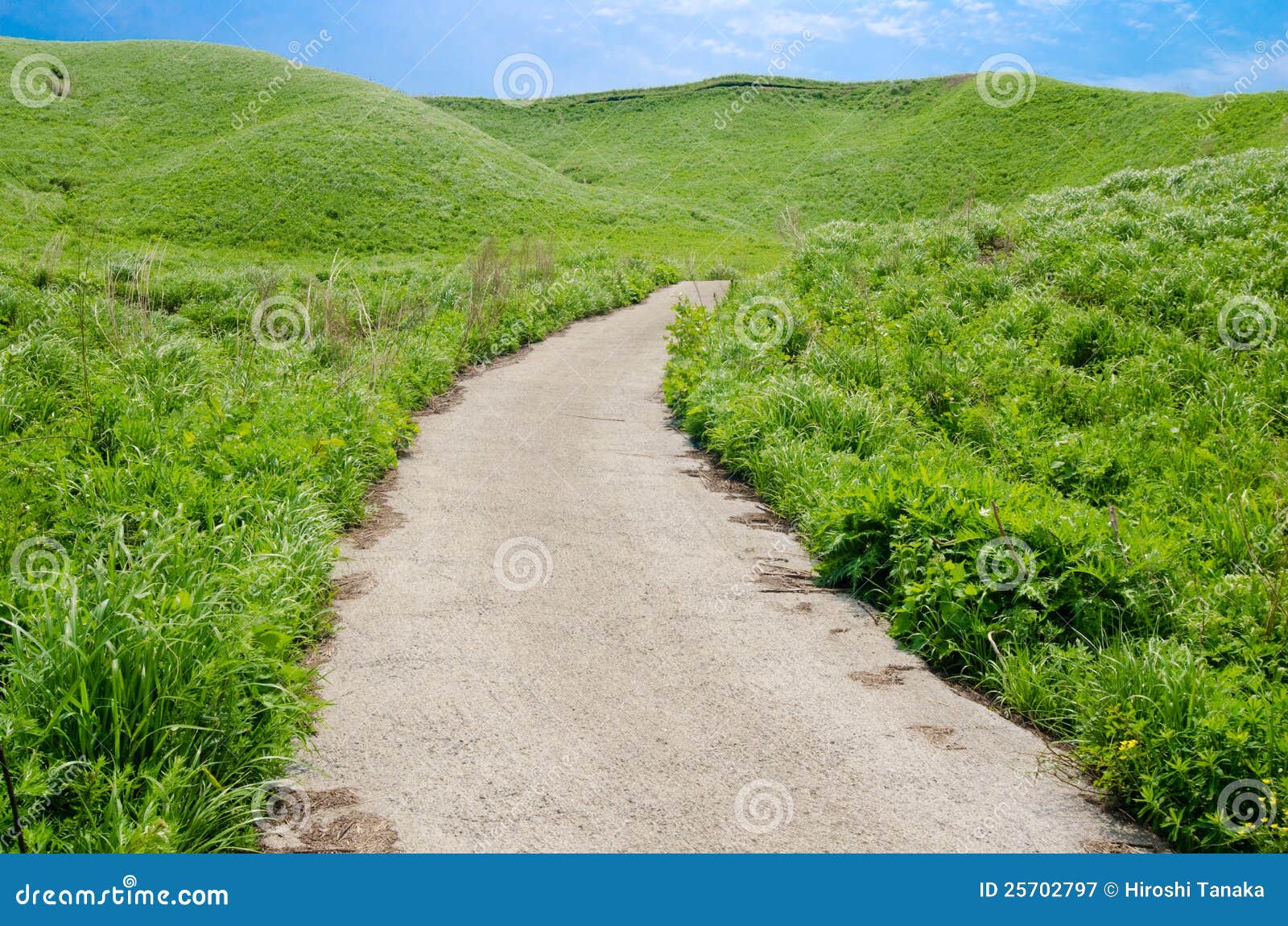 Road to the green hill stock image. Image of view, natural - 25702797