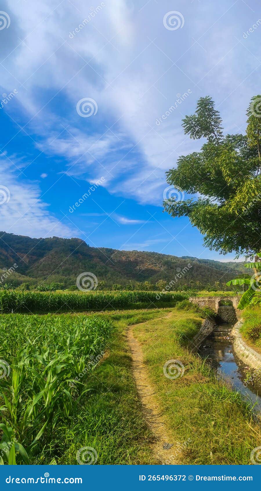 Road to heaven stock photo. Image of heaven, mountain - 265496372