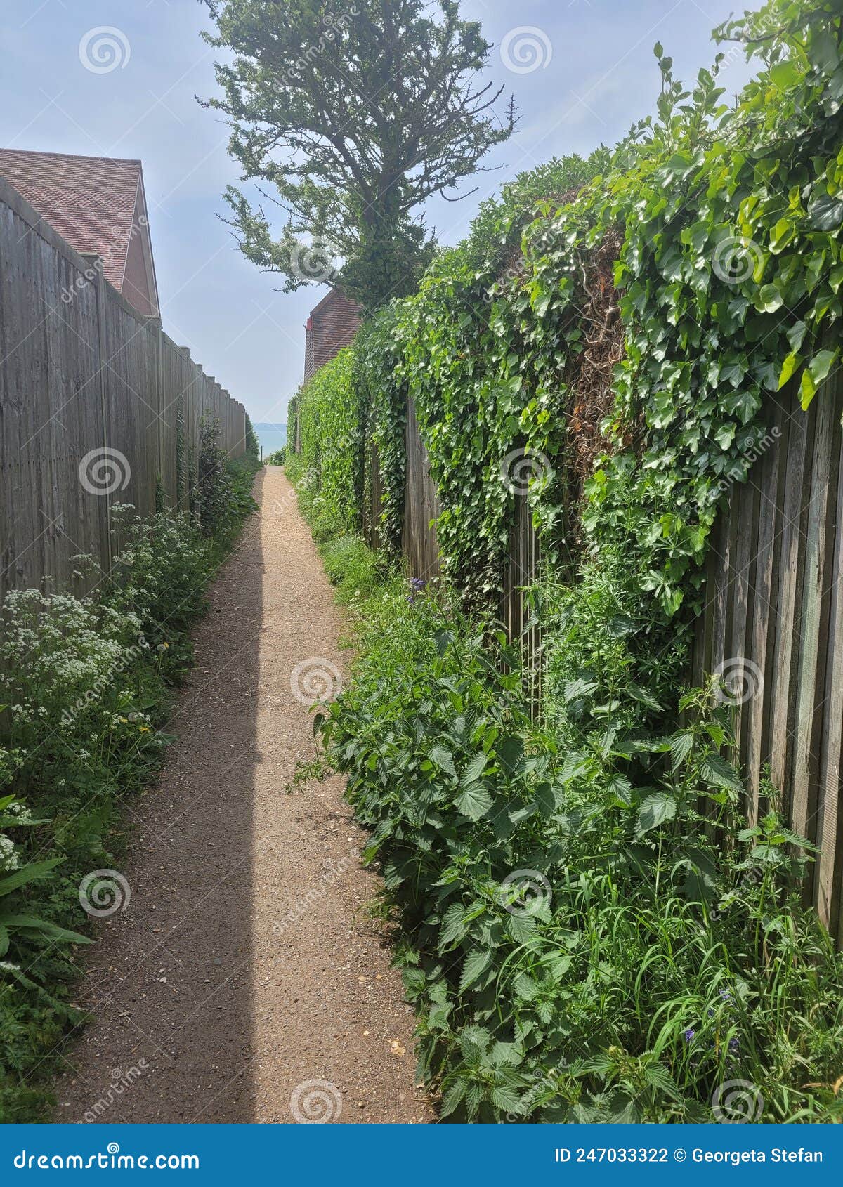 Road To Hill Head Beach Fareham Stock Photo - Image of road, fareham ...