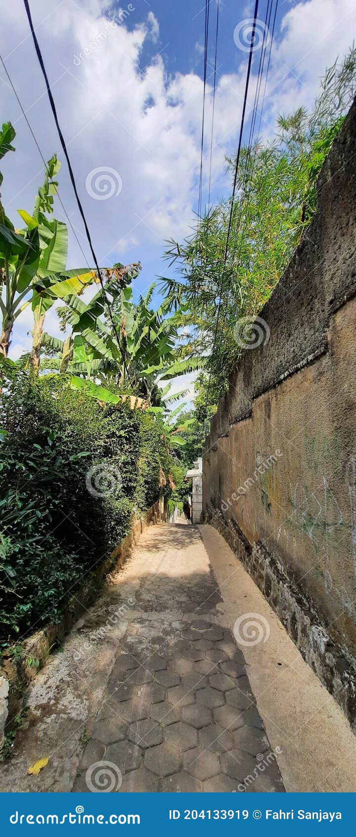 Road to home stock image. Image of tree, road, village - 204133919