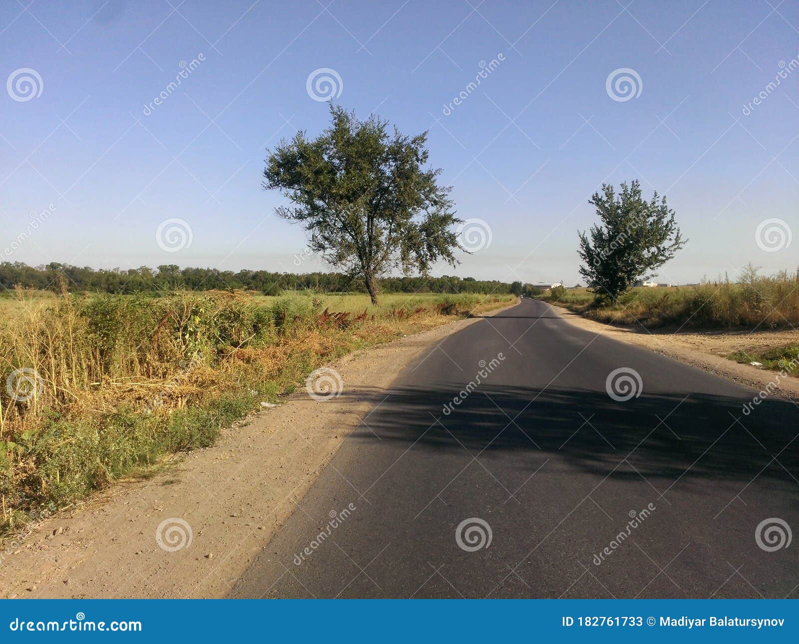 Road to home stock image. Image of summer, home, nature - 182761733