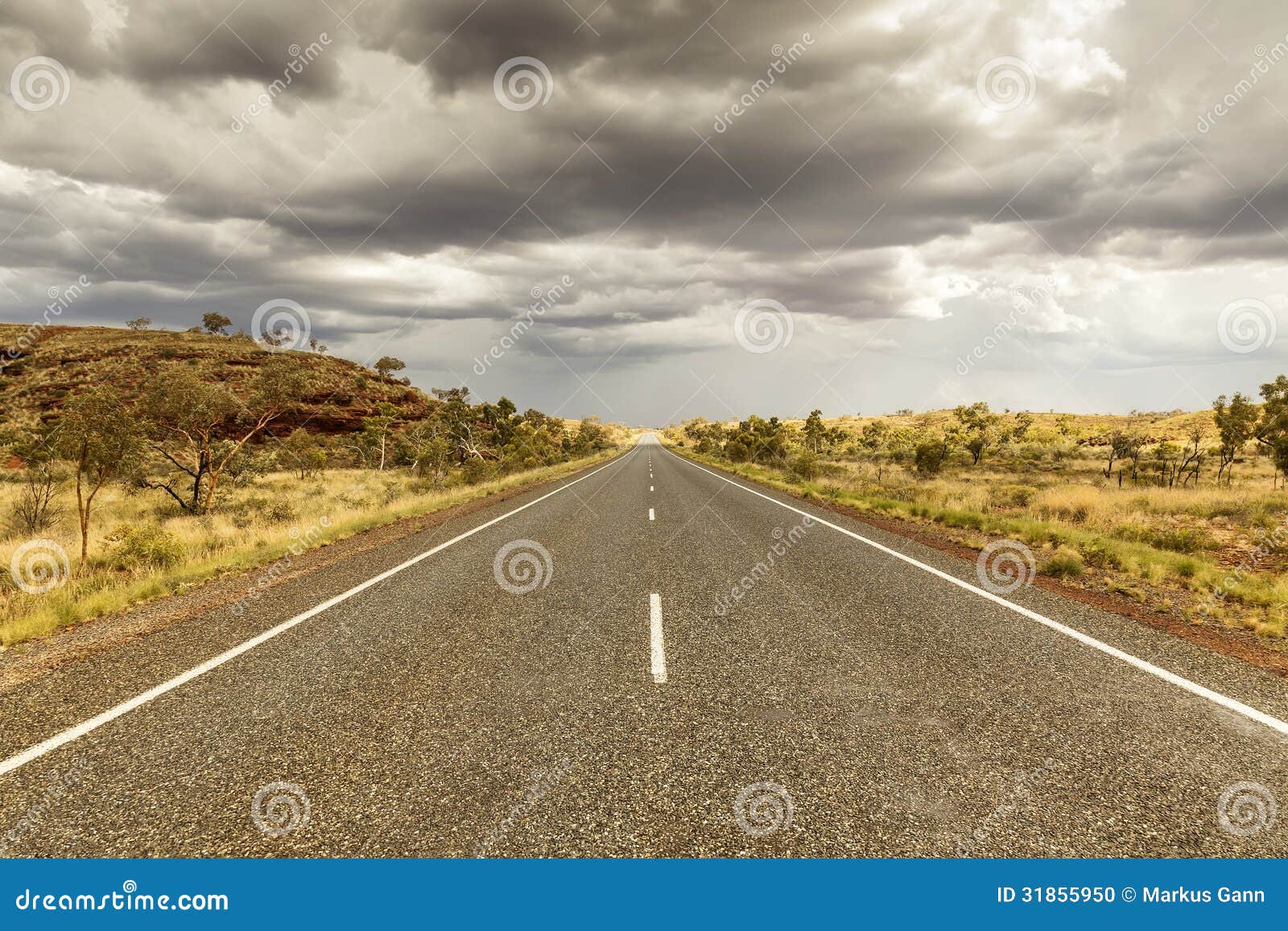 Road to horizon stock photo. Image of road, field, drive - 31855950