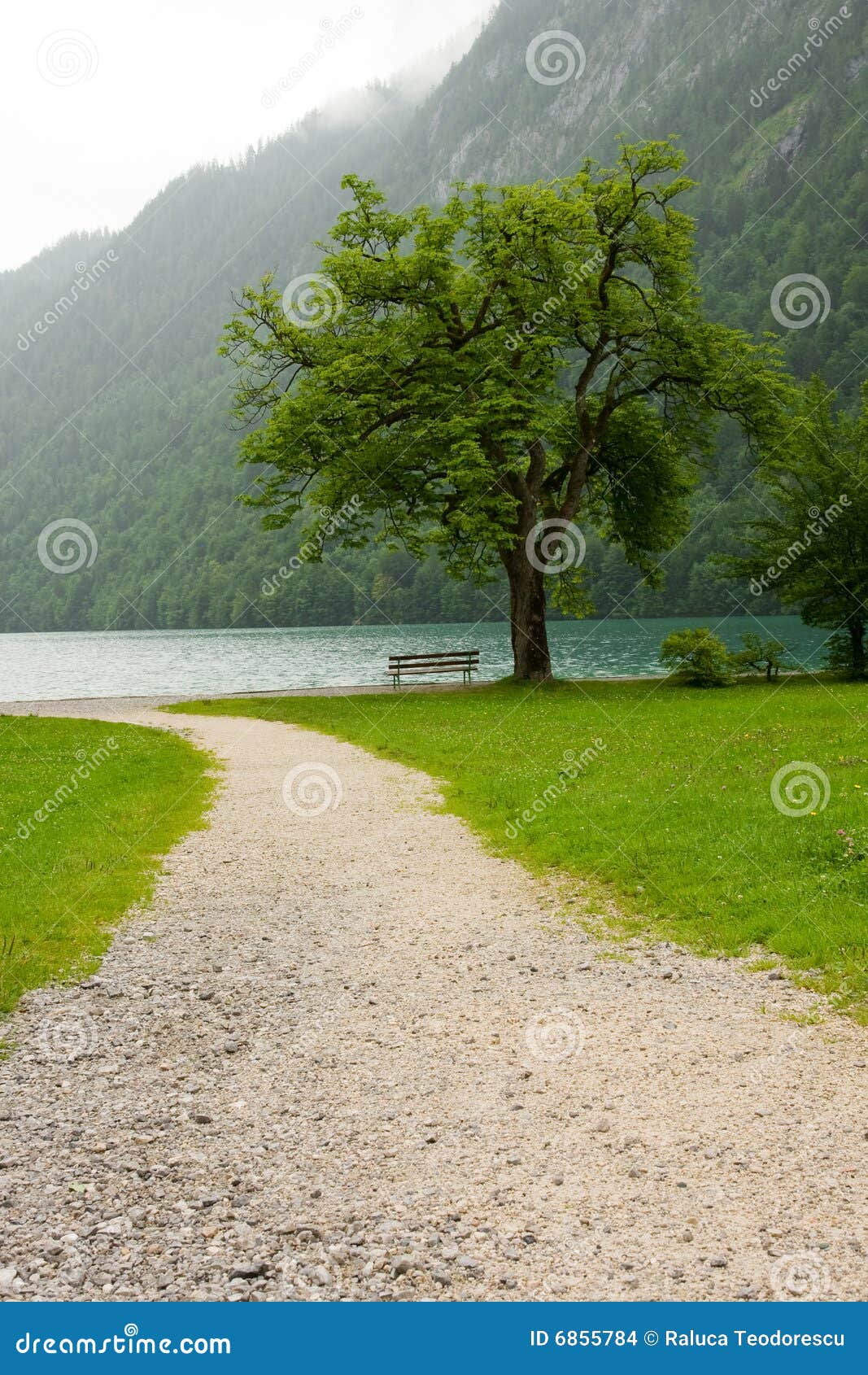 Road to the lake stock photo. Image of background, desolate - 6855784