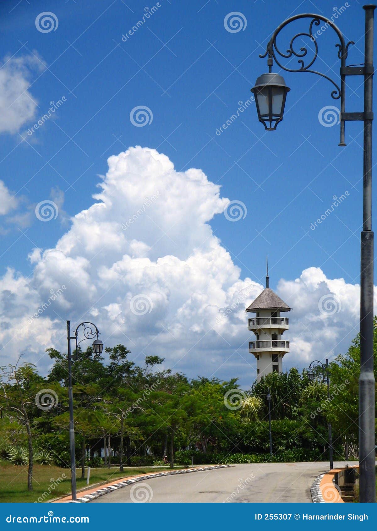 Road To Lighthouse Picture. Image: 255307