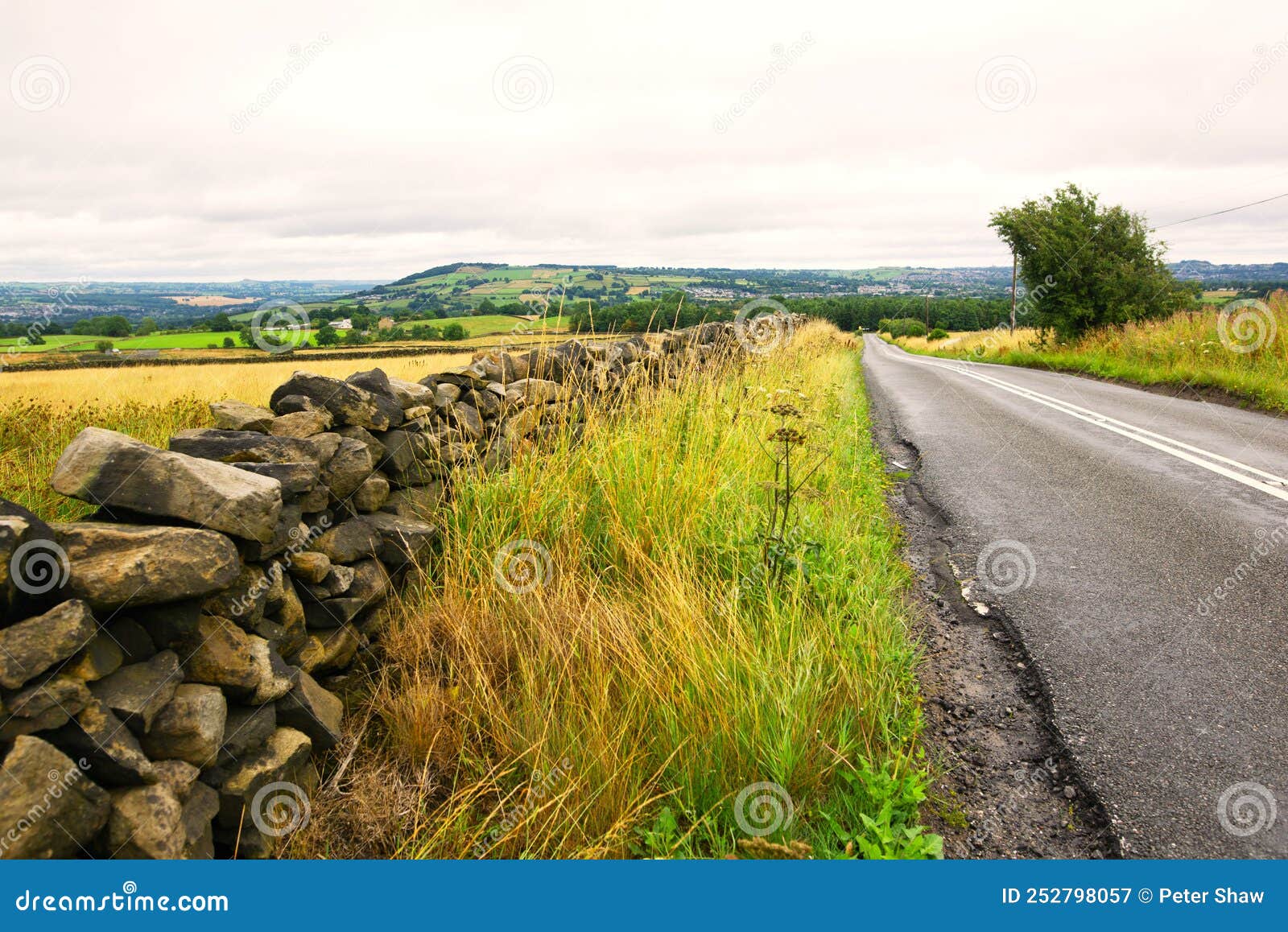 The Road To Menston and Ilkley. Stock Image - Image of august, barley ...