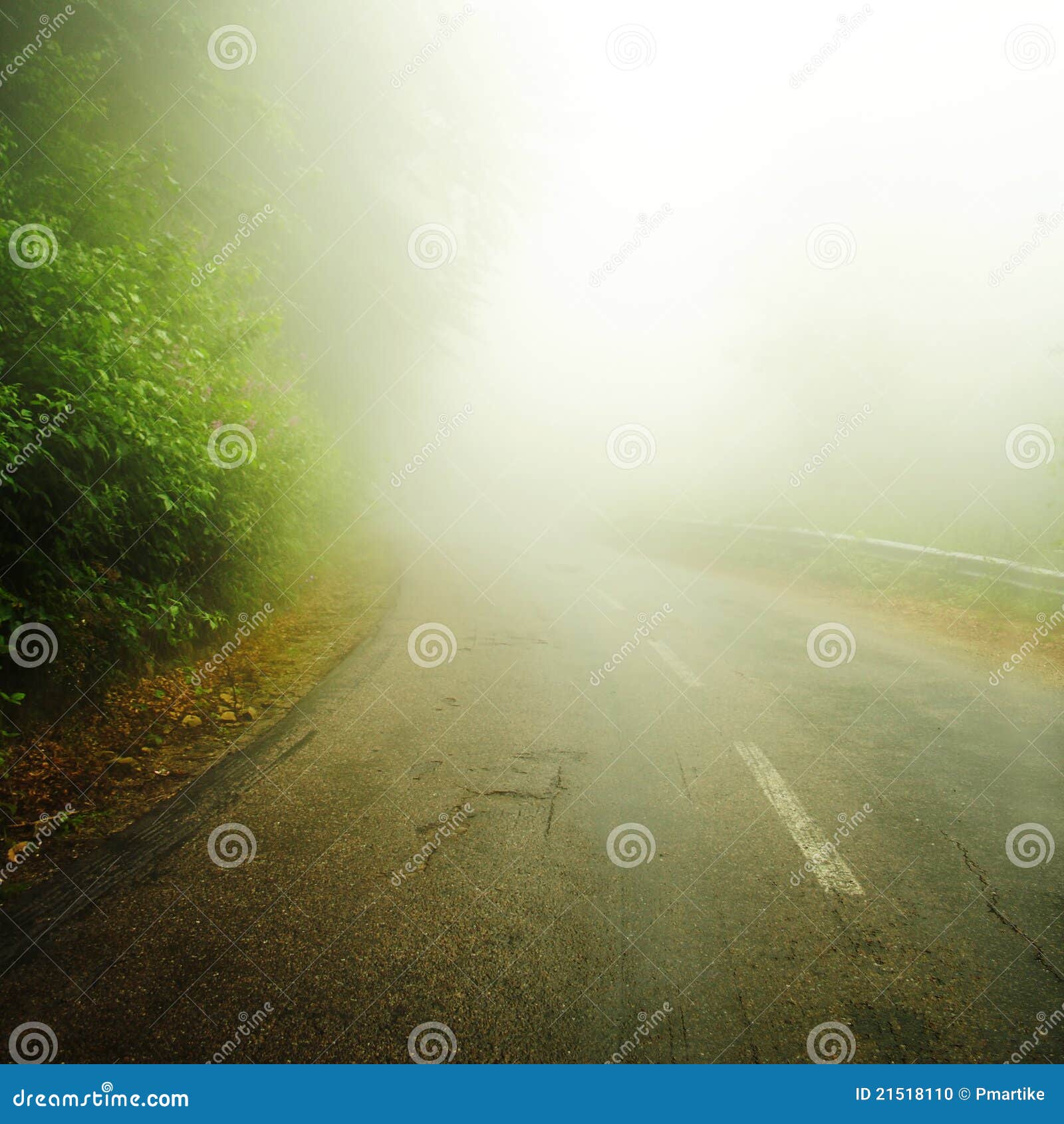 Road to the mist stock photo. Image of light, nature - 21518110