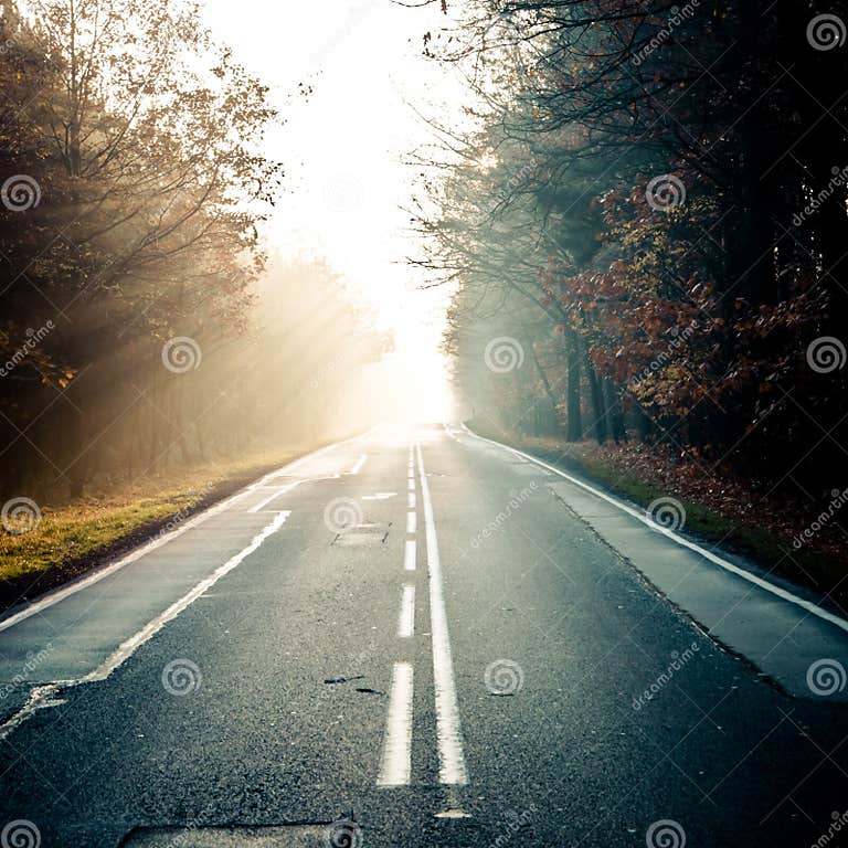 Road in to the mist stock image. Image of lane, light - 22166617