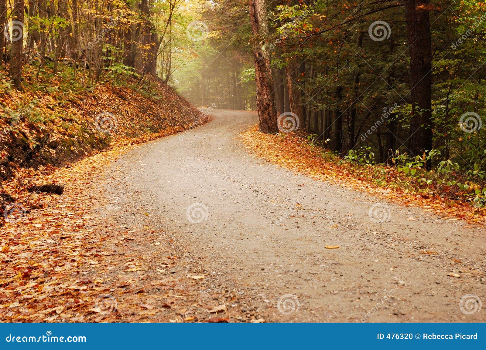 Road in to the mist stock photo. Image of seasonal, uphill - 476320