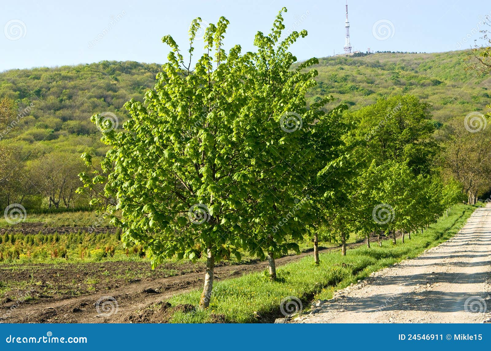 The road to Mount Mashuk. stock image. Image of blue - 24546911